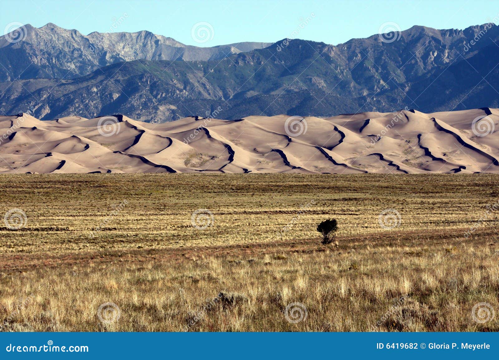 Paisagem da duna de areia foto de stock. Imagem de azul - 6419682