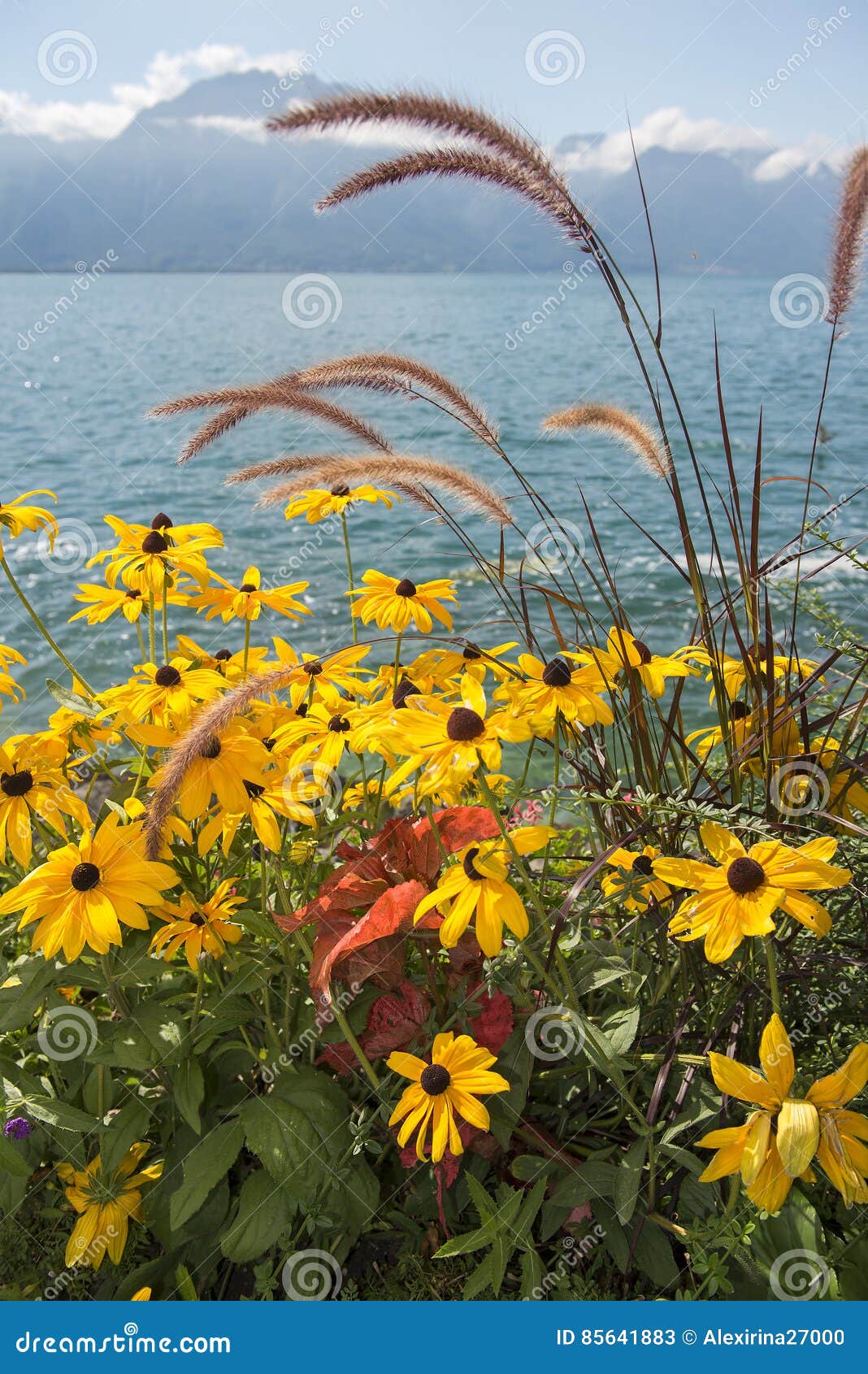 Paisagem Da Manhã Com As Flores No Lago Genebra Imagem de Stock ...