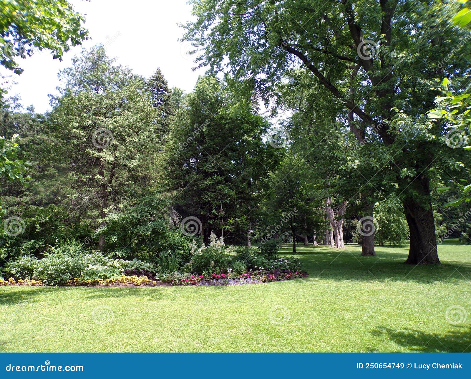 Paisagem de parque regular imagem de stock. Imagem de regular - 250654749