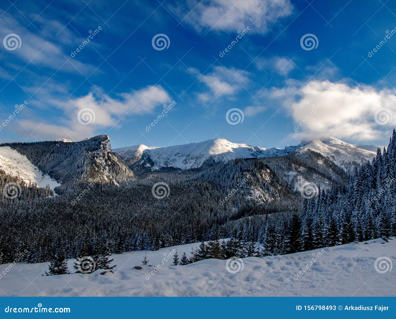 Paisagem do belo inverno imagem de stock. Imagem de nave - 156798493 Paisagem do belo inverno imagem de stock. Imagem de nave - 156798493