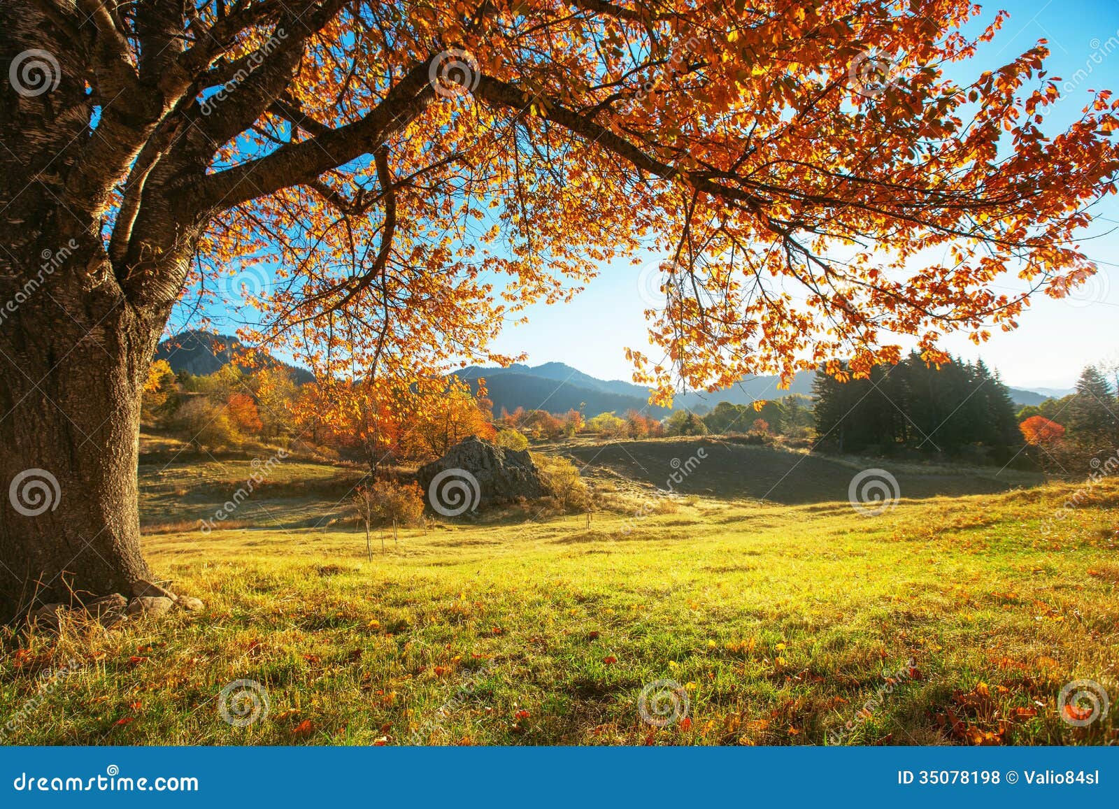 Paisagem do outono foto de stock. Imagem de multimulticamadas - 35078198