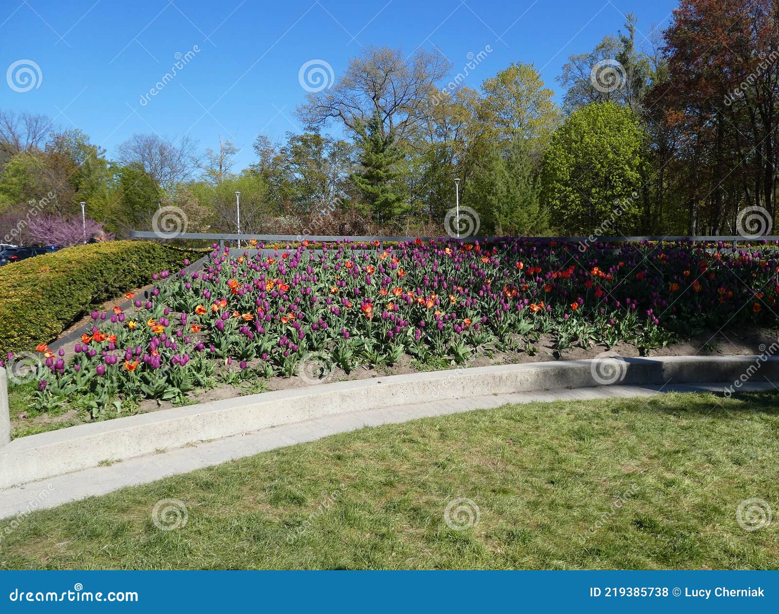 Paisagem do parque foto de stock. Imagem de paisagem - 219385738