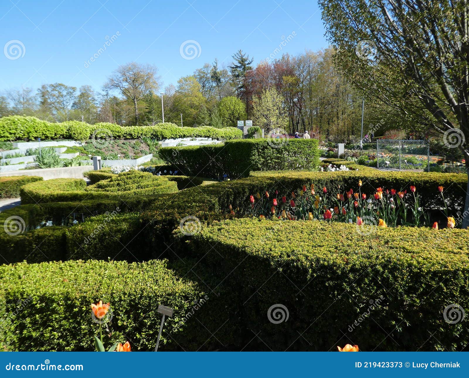 Paisagem do parque imagem de stock. Imagem de cama, flor - 219423373