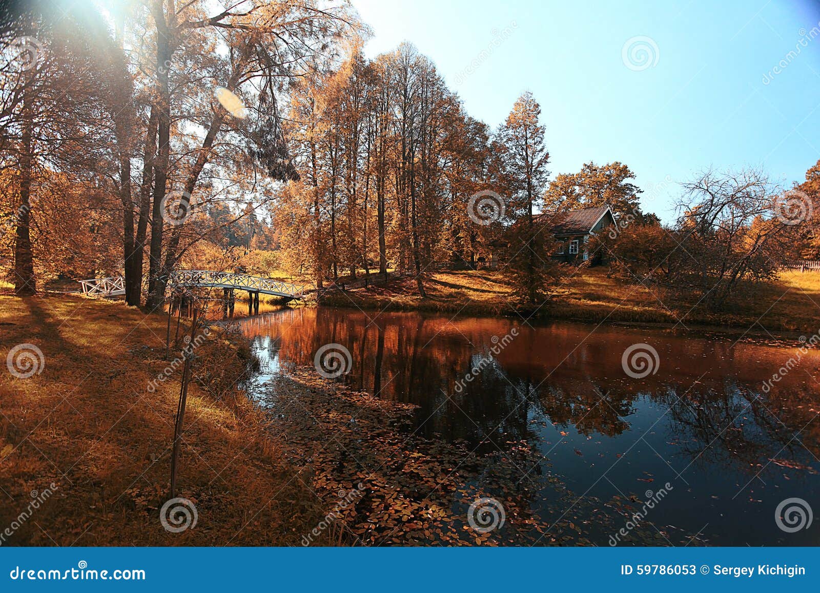 Paisagem Do Parque Do Outono Imagem de Stock - Imagem de naturalizado ...