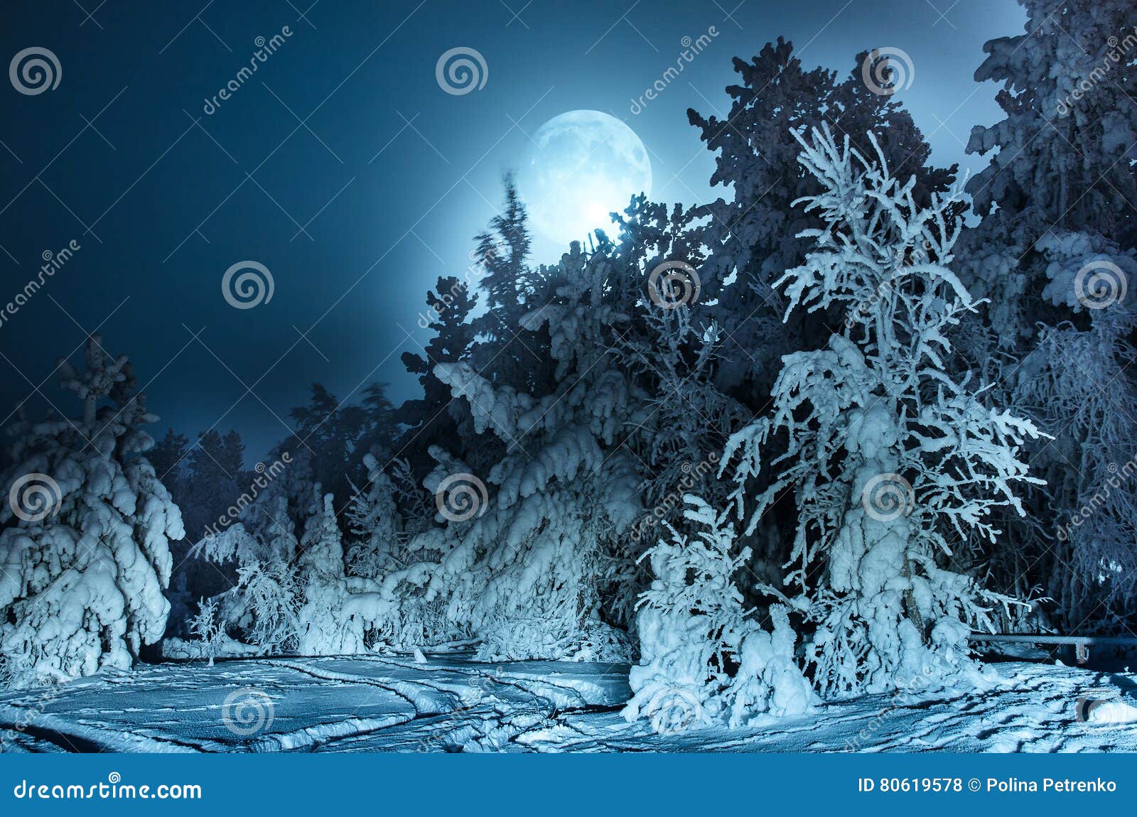 Paisagem Noturna Com Neve E Lua Cheia Da Floresta Do Abeto Foto de ...