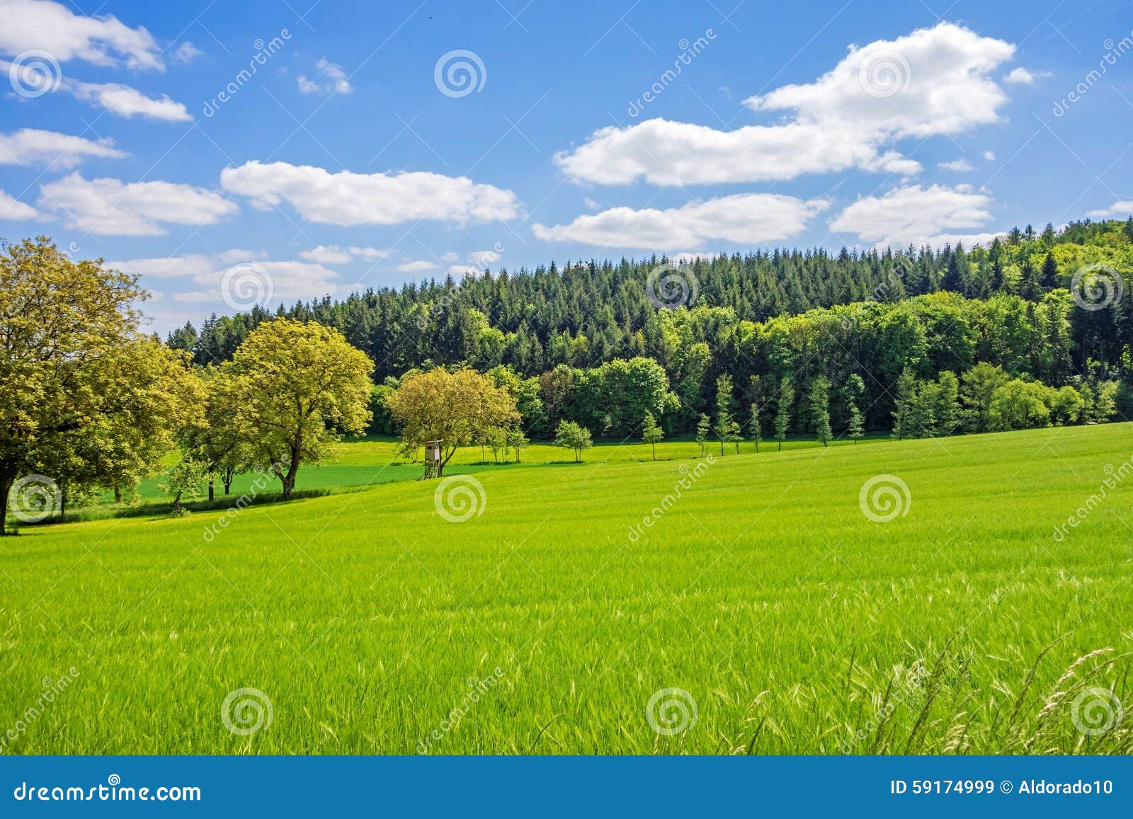 Paisagem rural imagem de stock. Imagem de bonito, beleza - 59174999