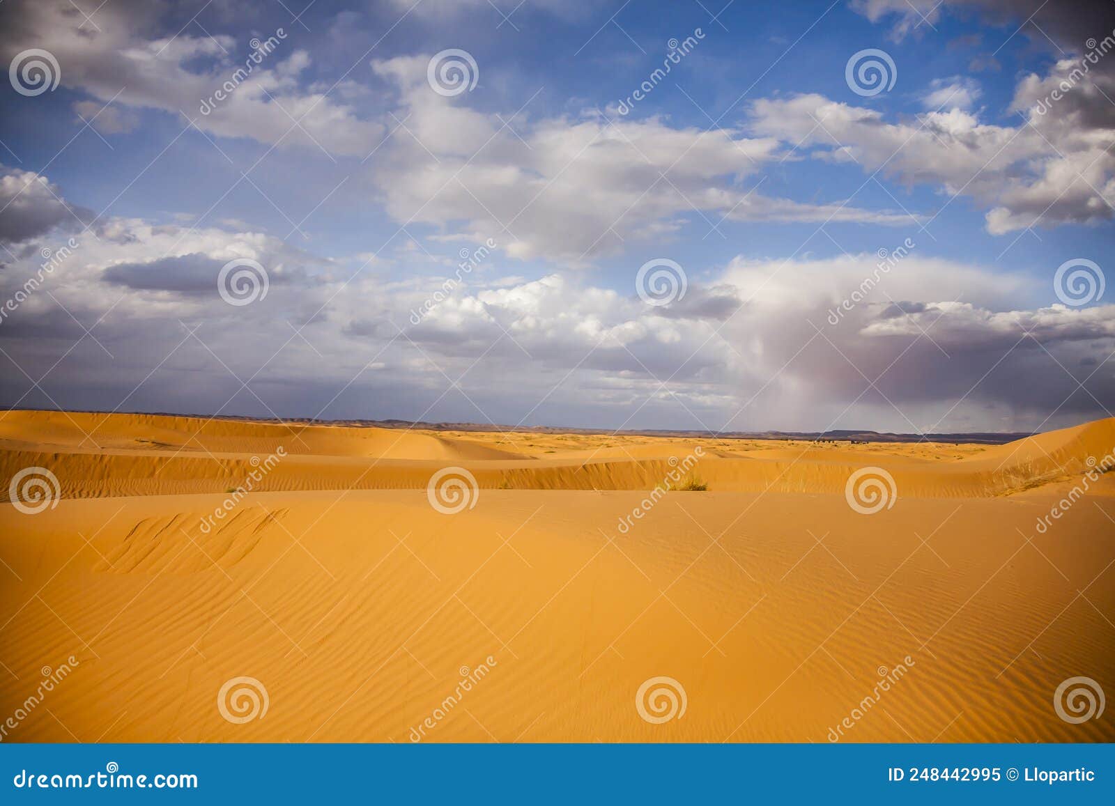 Paisagem Seca E Dunas Do Morocco Do Deserto Do Sahara Imagem de Stock ...