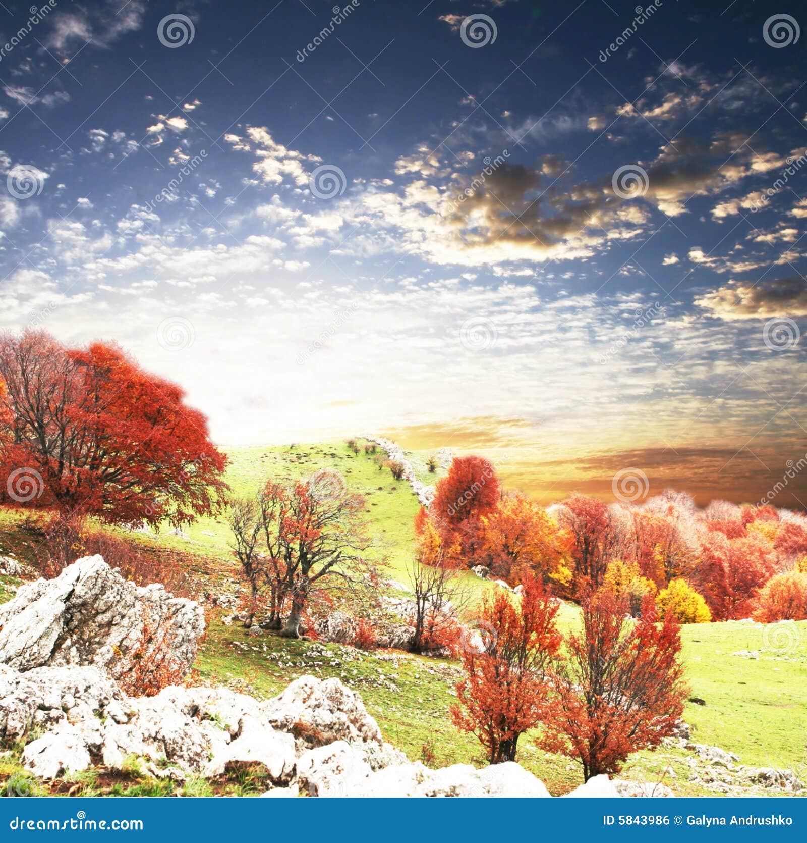 Paisagens do outono foto de stock. Imagem de rural, prado - 5843986