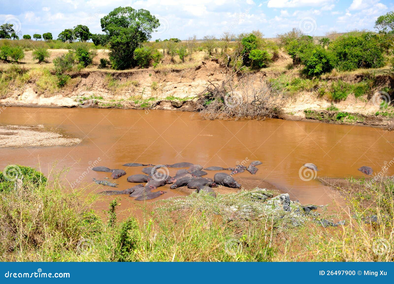 Paisaje africano del yermo foto de archivo. Imagen de horizonte - 26497900