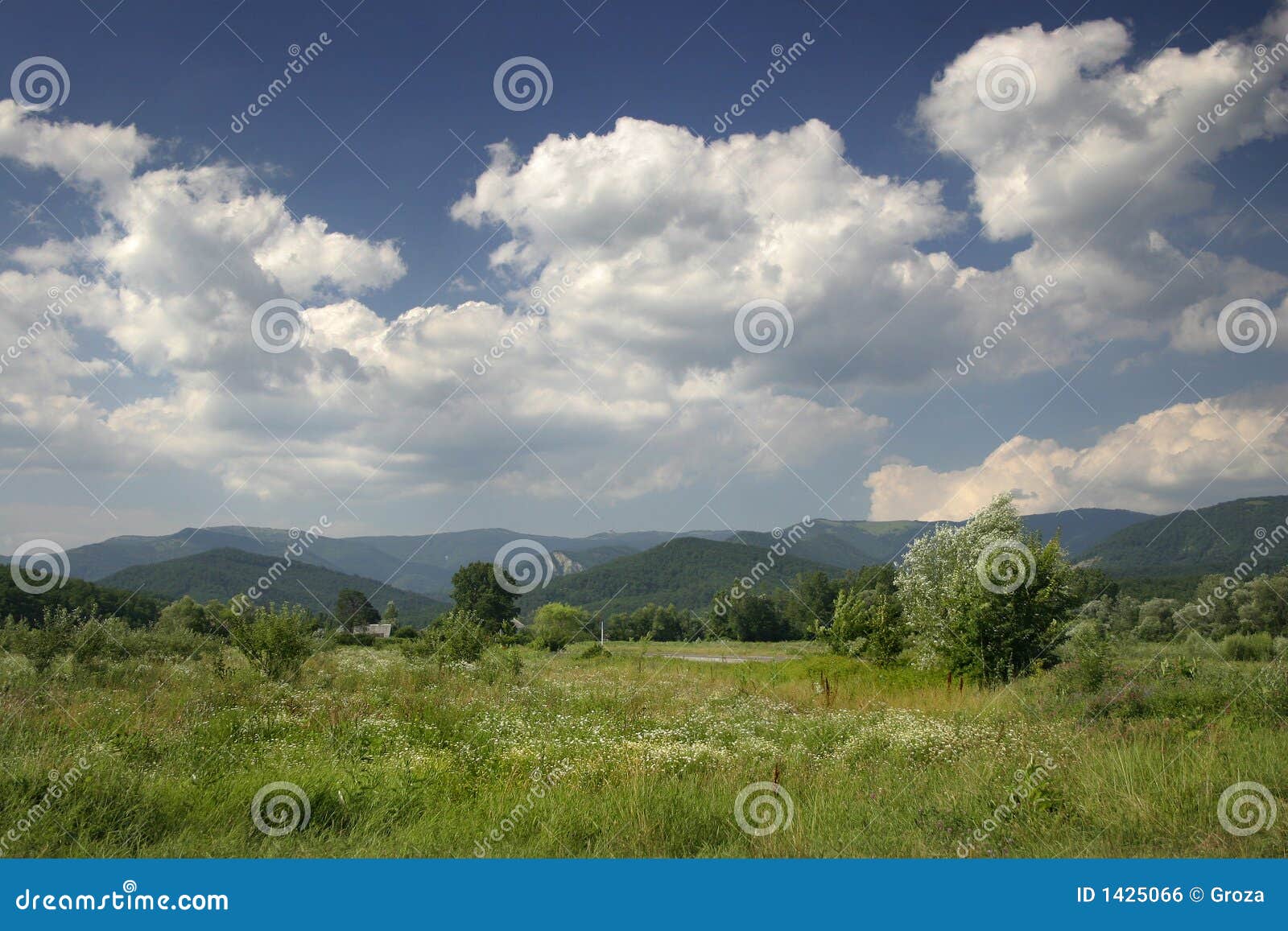 Paisaje Asoleado Del Verano Foto de archivo - Imagen de tierra, paisaje ...