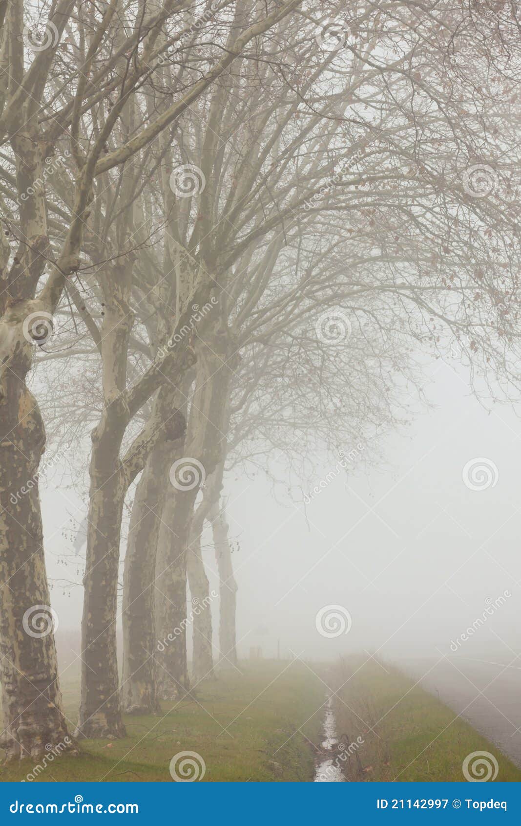 Paisaje brumoso imagen de archivo. Imagen de camino, granja - 21142997