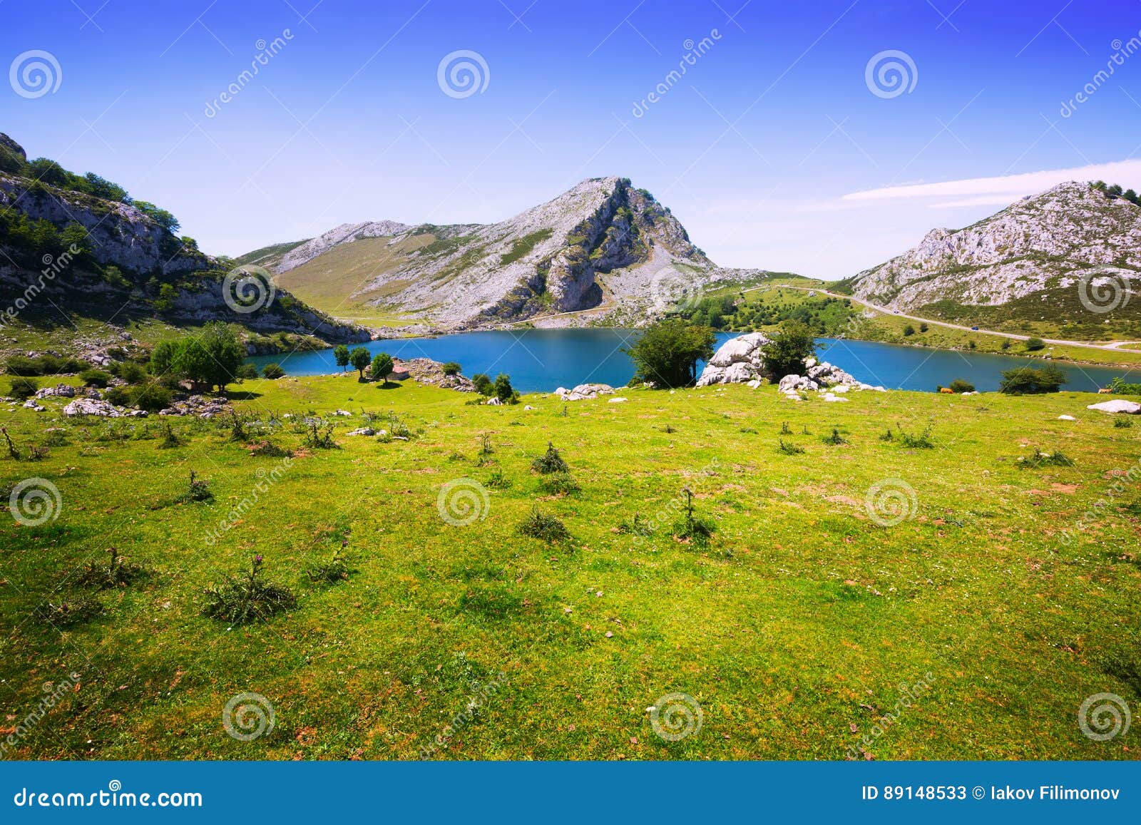 Paisaje Con El Lago Y El Pasto Imagen de archivo - Imagen de escena ...