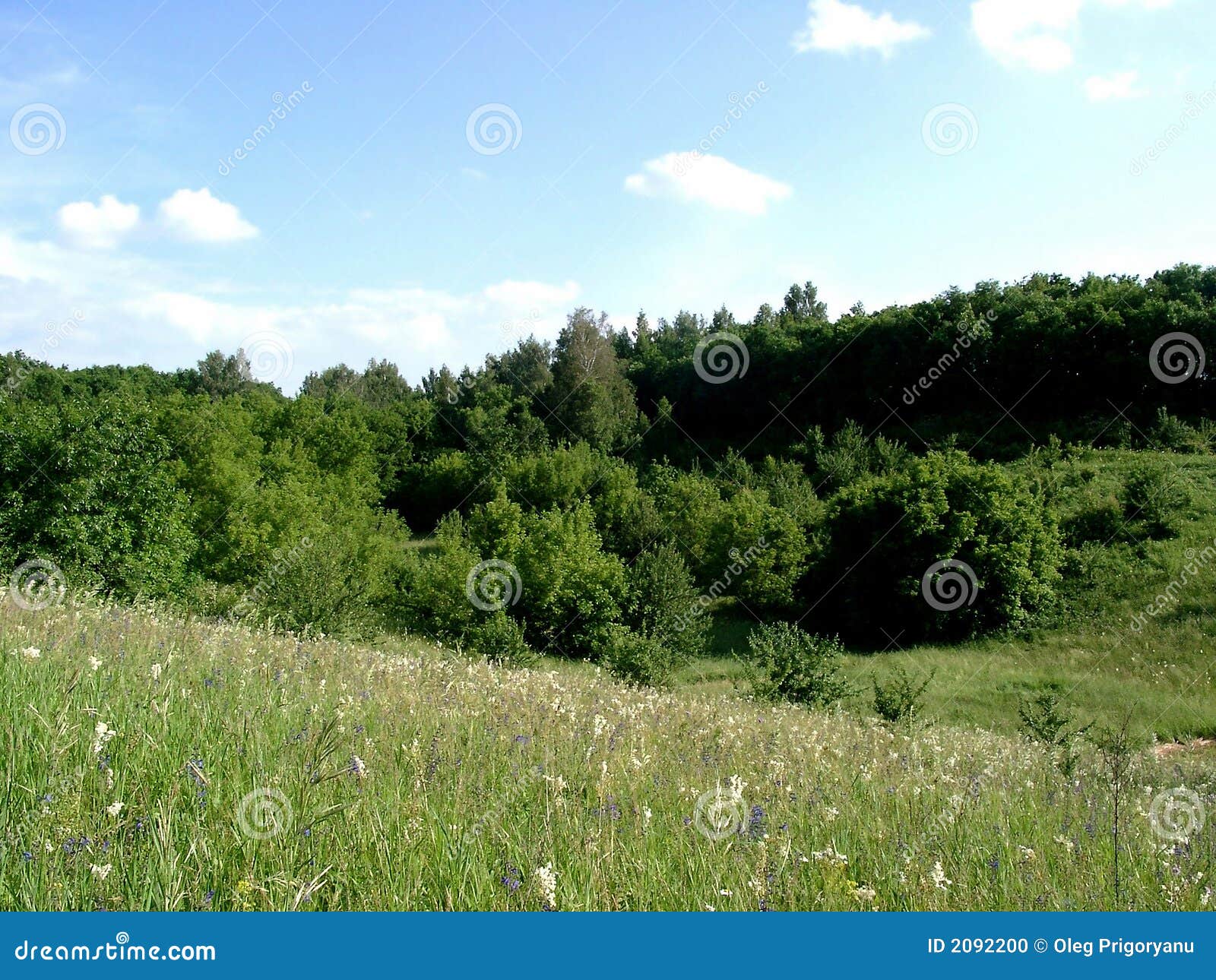 Paisaje De La Bosque-estepa Foto de archivo - Imagen de saludo, casero ...