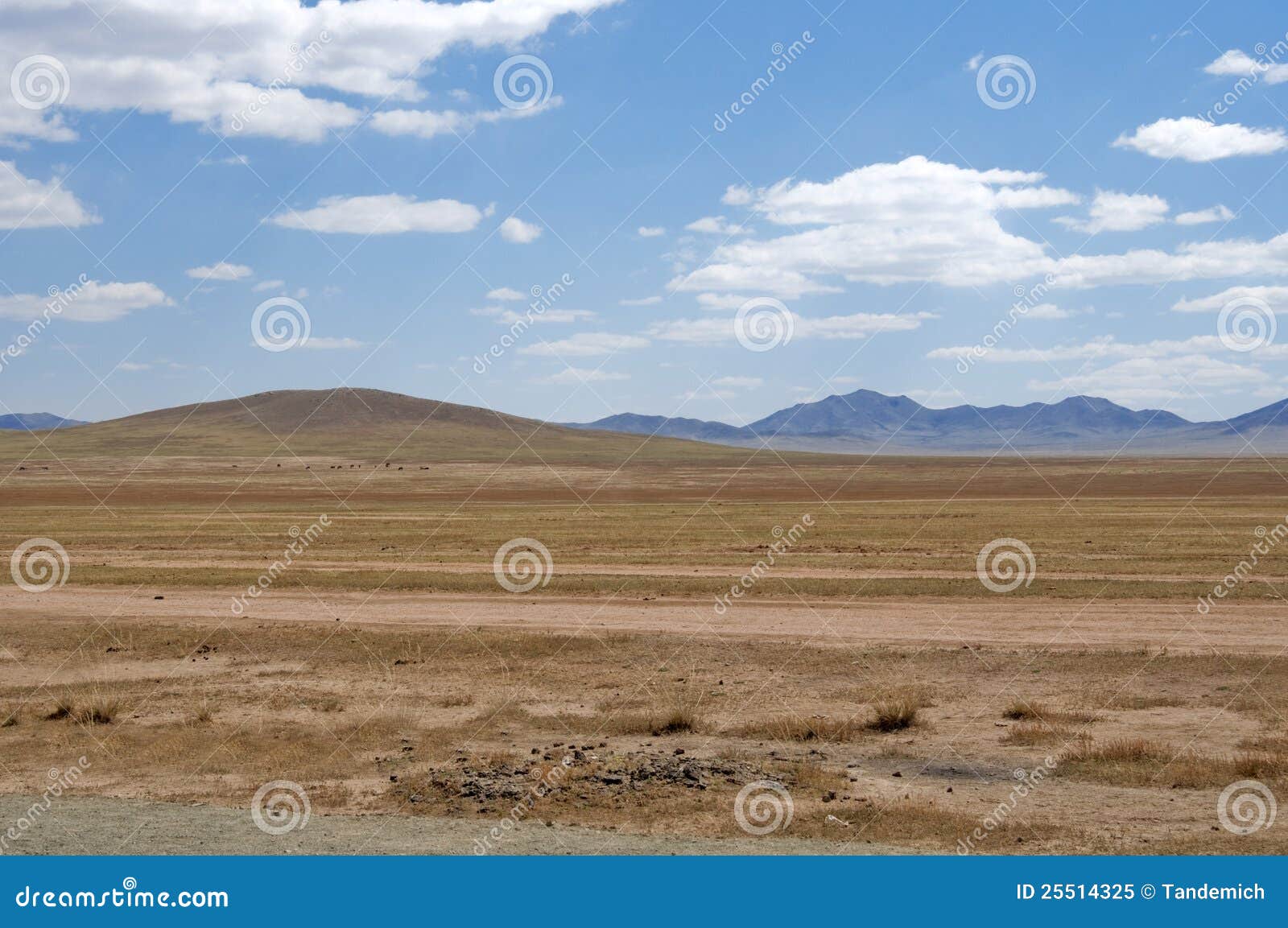 Paisaje de la estepa imagen de archivo. Imagen de paisaje - 25514325