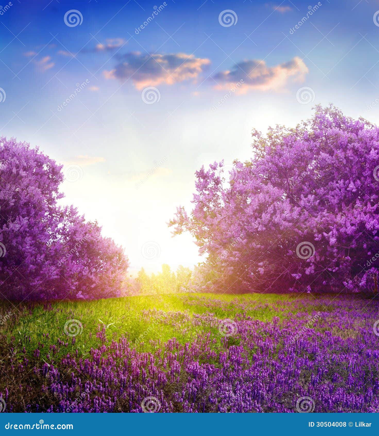 Paisaje de la primavera foto de archivo. Imagen de tierra - 30504008