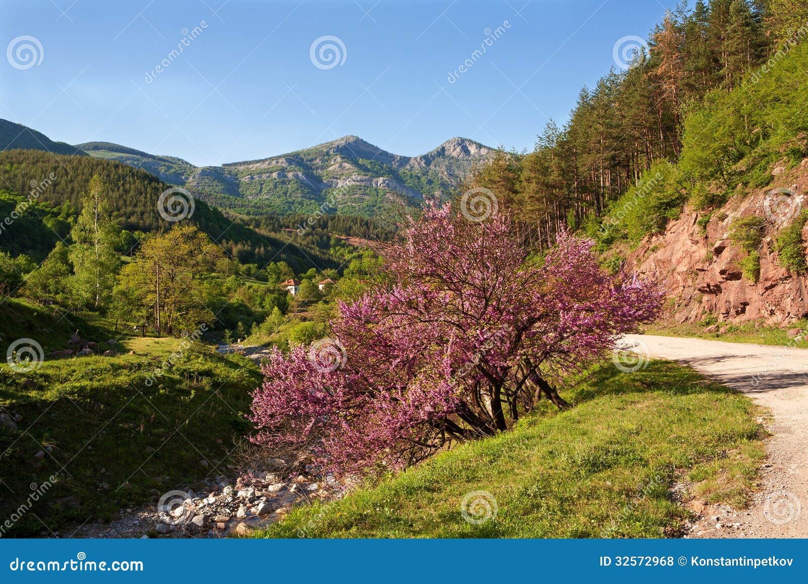 Paisaje de la primavera foto de archivo. Imagen de nadie - 32572968