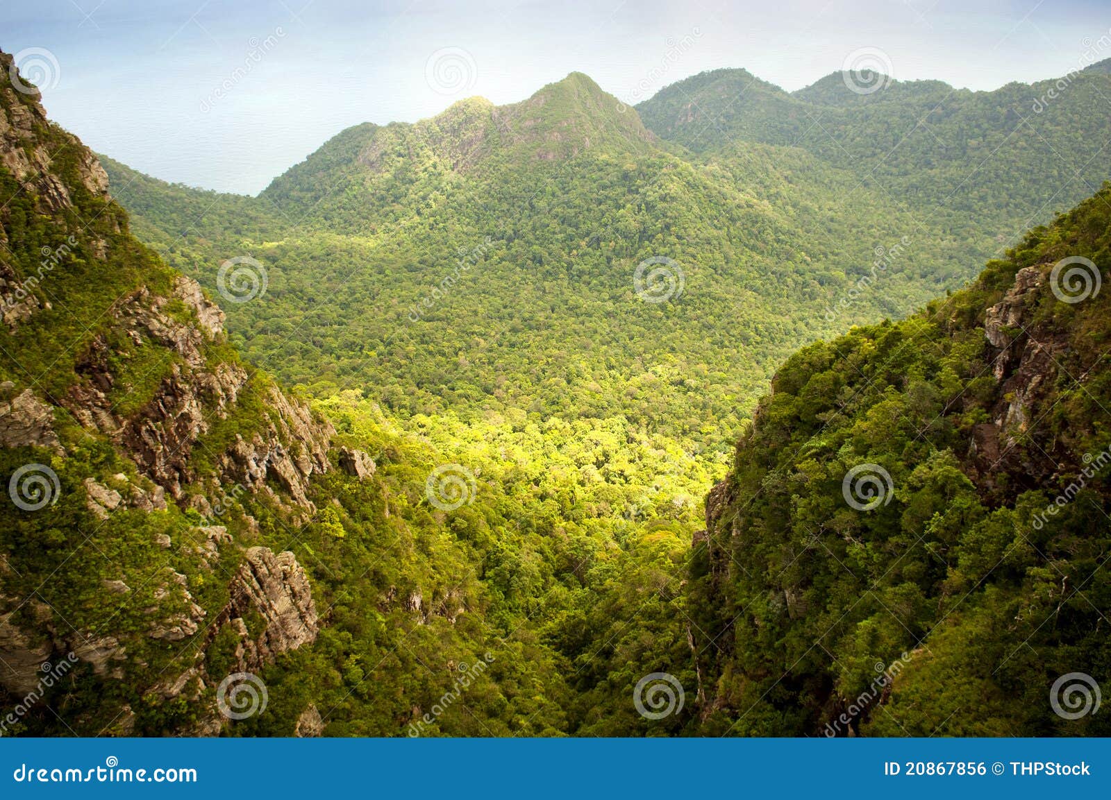 Paisaje de la selva foto de archivo. Imagen de recorrido - 20867856