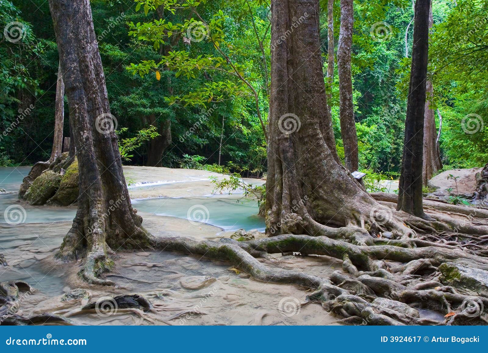 Paisaje de la selva imagen de archivo. Imagen de fluir - 3924617