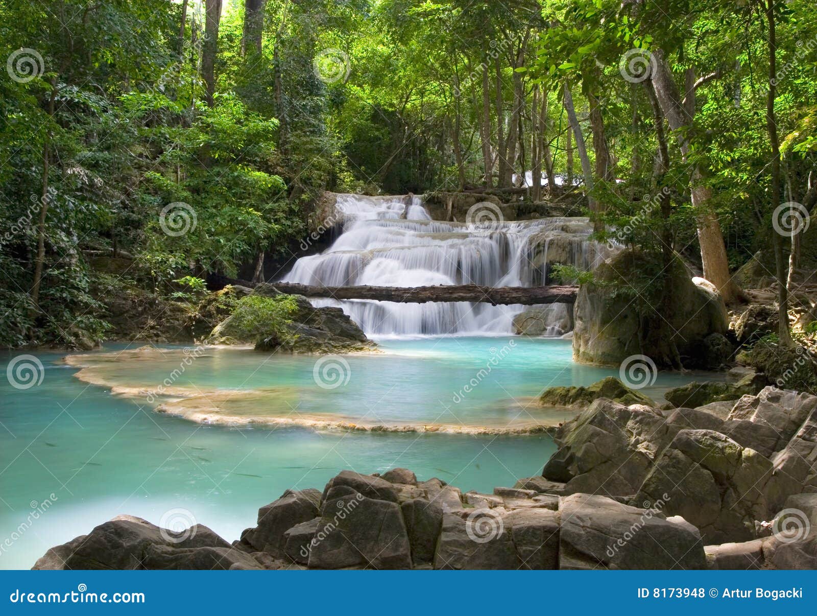 Paisaje de la selva foto de archivo. Imagen de secuencia - 8173948