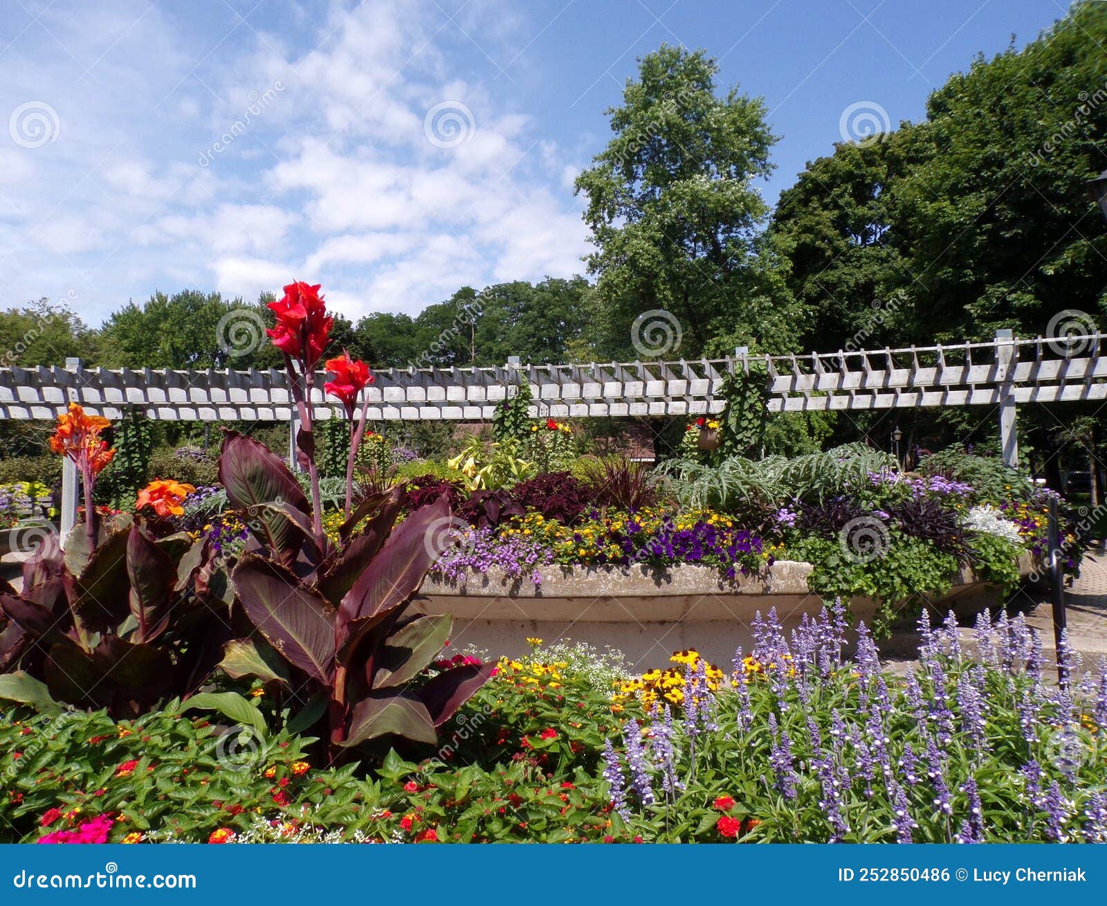 Paisaje de parque foto de archivo. Imagen de color, verano - 252850486