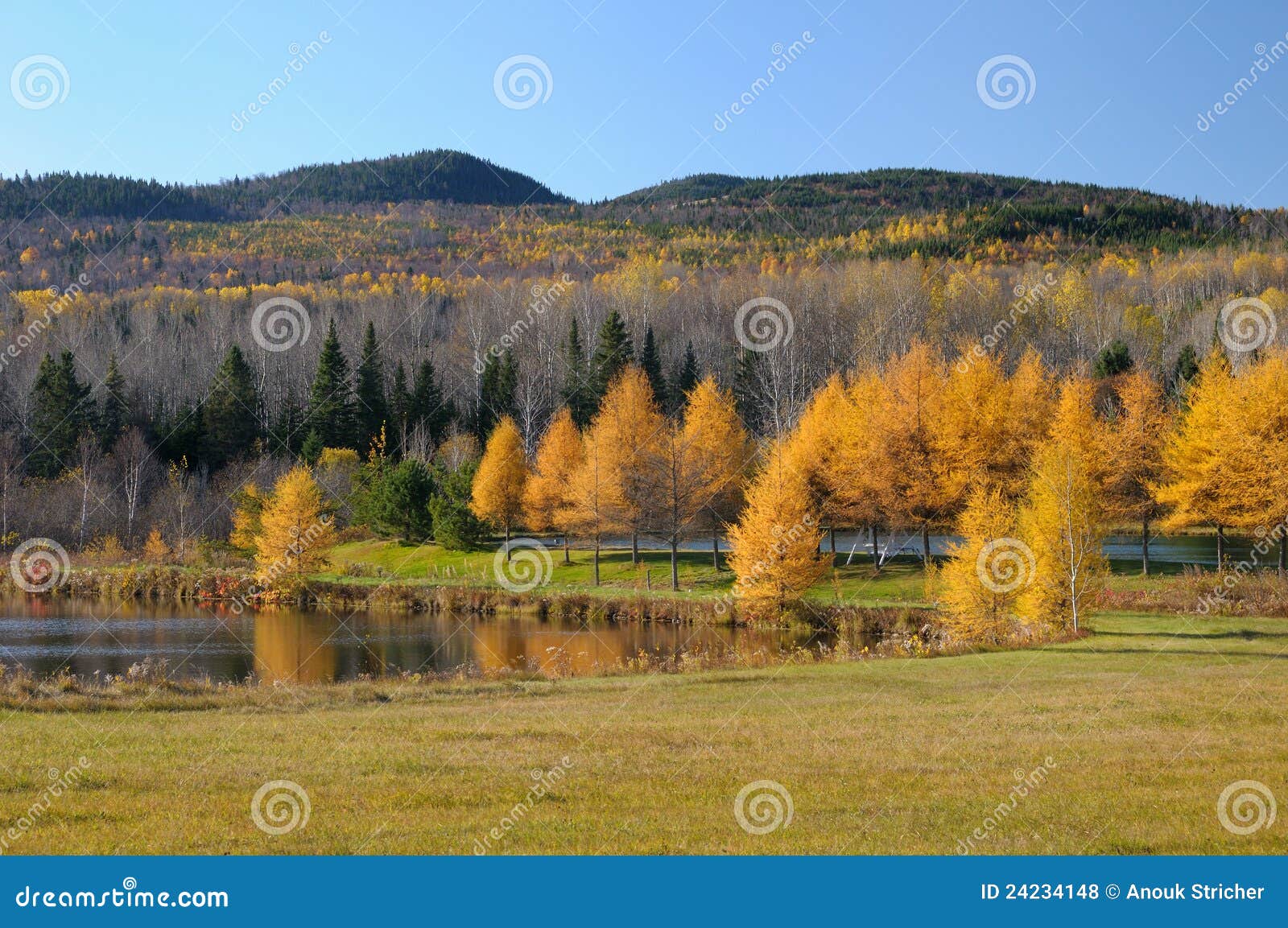 Paisaje de Quebec foto de archivo. Imagen de cubo, amarillo - 24234148