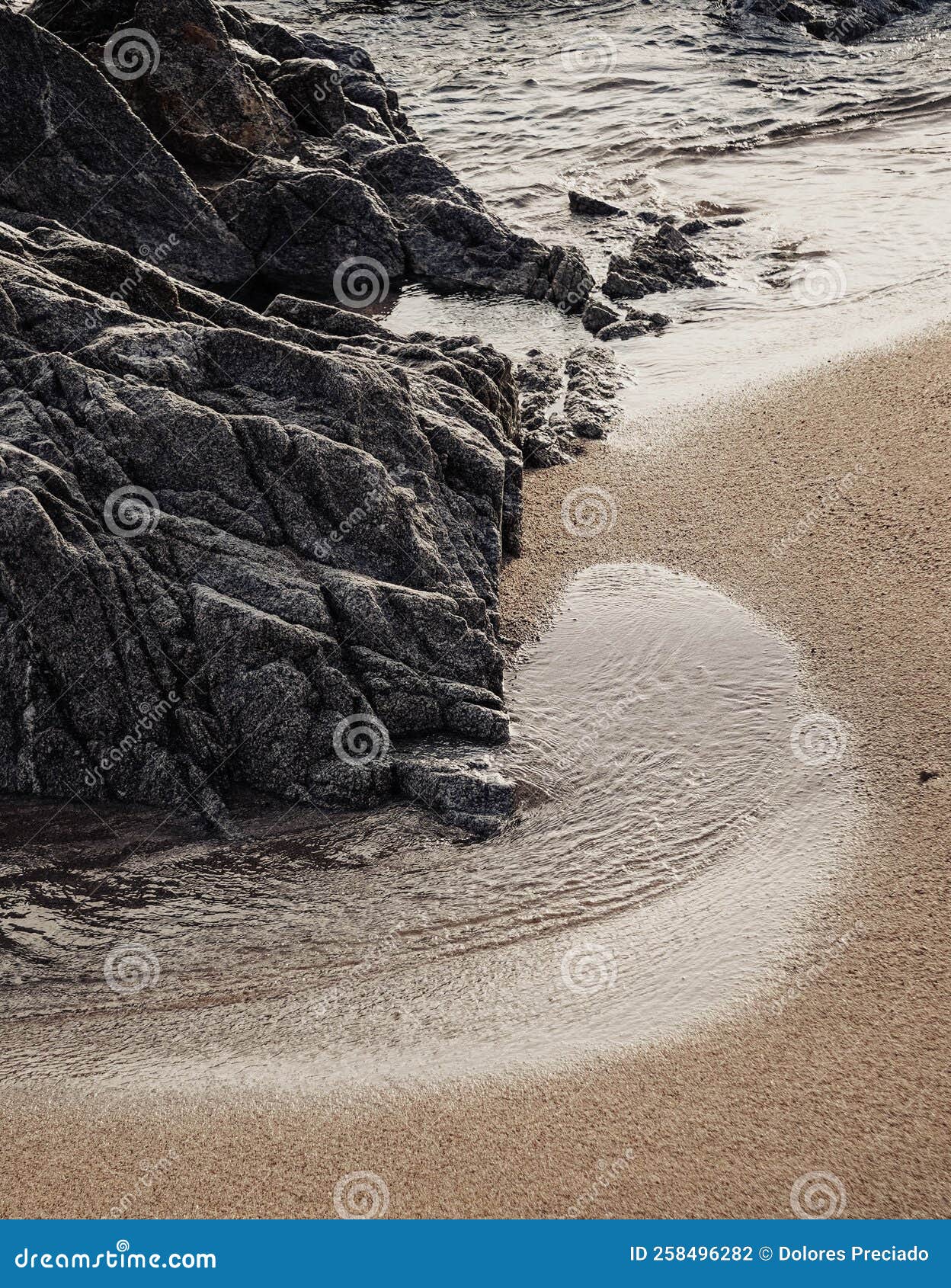 Paisaje De Una Orilla De Playa Con Olas Y Espuma Foto de archivo - Imagen de arenoso, costa ...