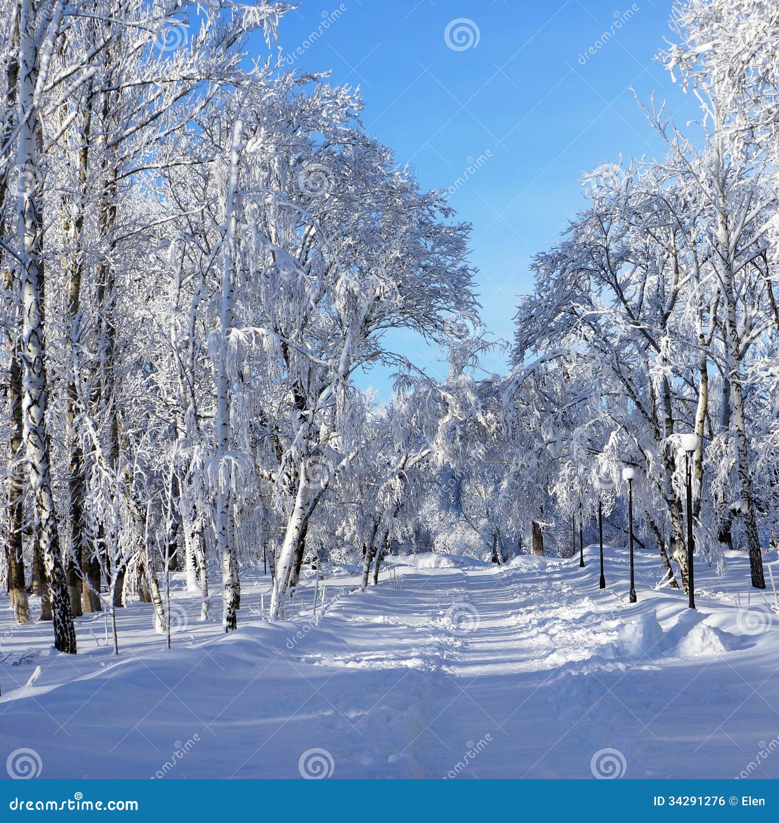 Paisaje del invierno foto de archivo. Imagen de hermoso - 34291276