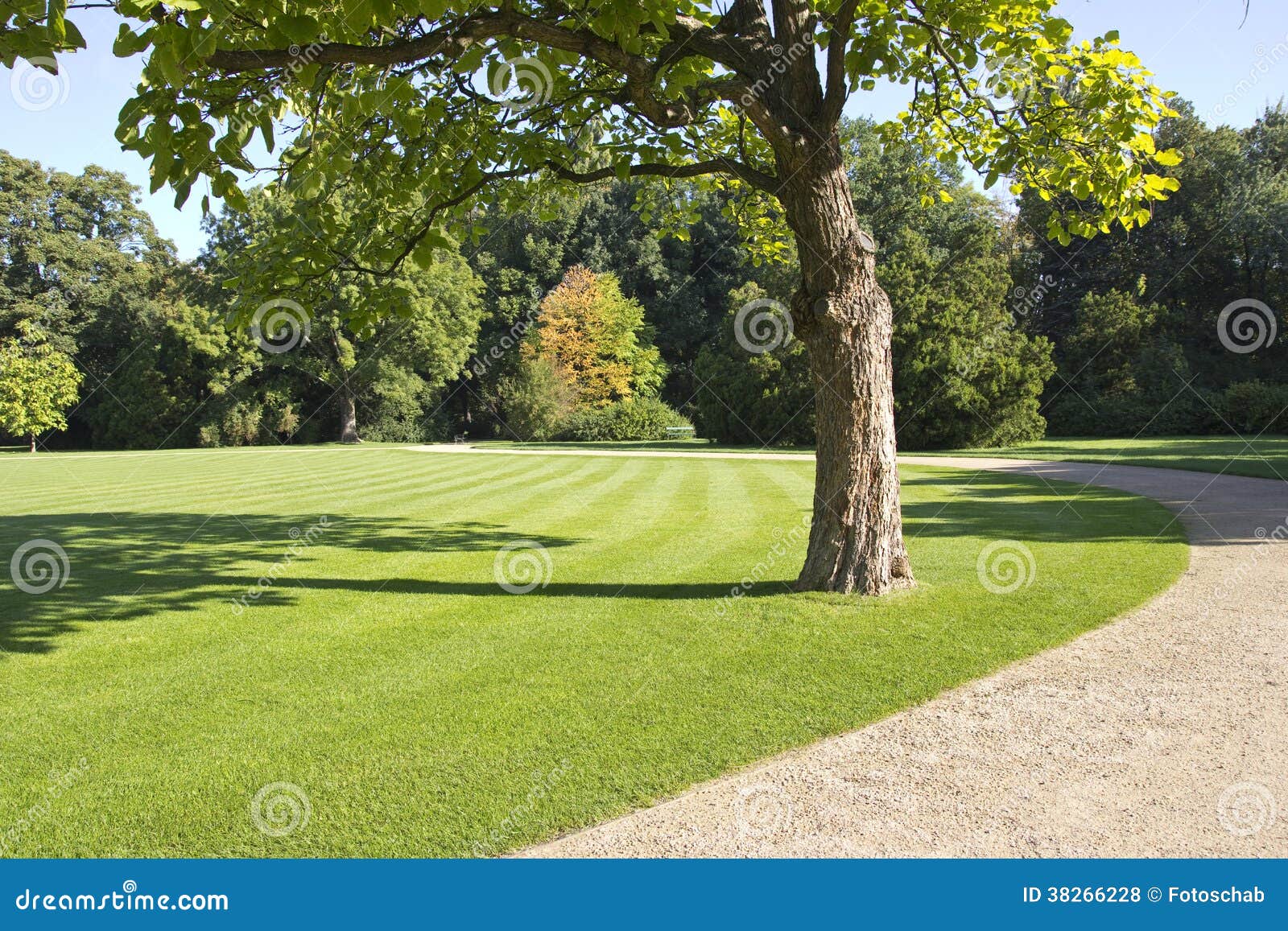 Paisaje del parque foto de archivo. Imagen de manera - 38266228