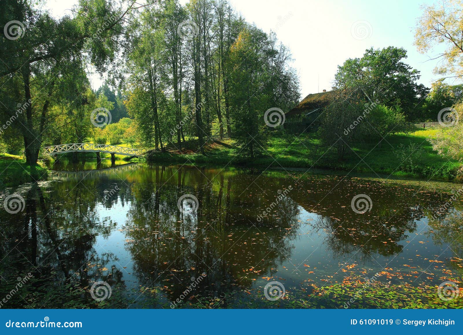 Paisaje Del Parque De La Ciudad Imagen de archivo - Imagen de verde ...