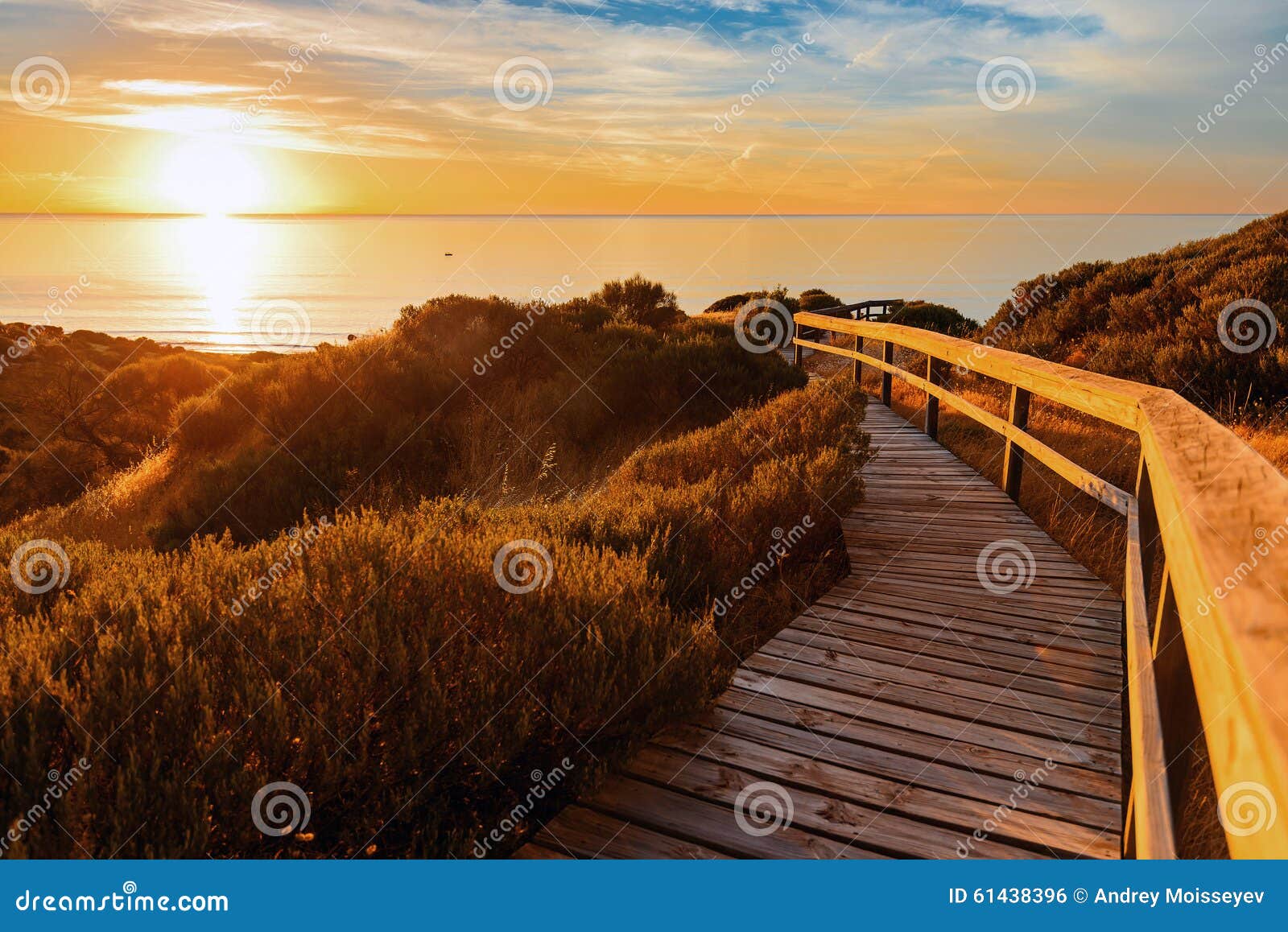 Paisaje Del Sur De Australia Foto de archivo - Imagen de travieso ...