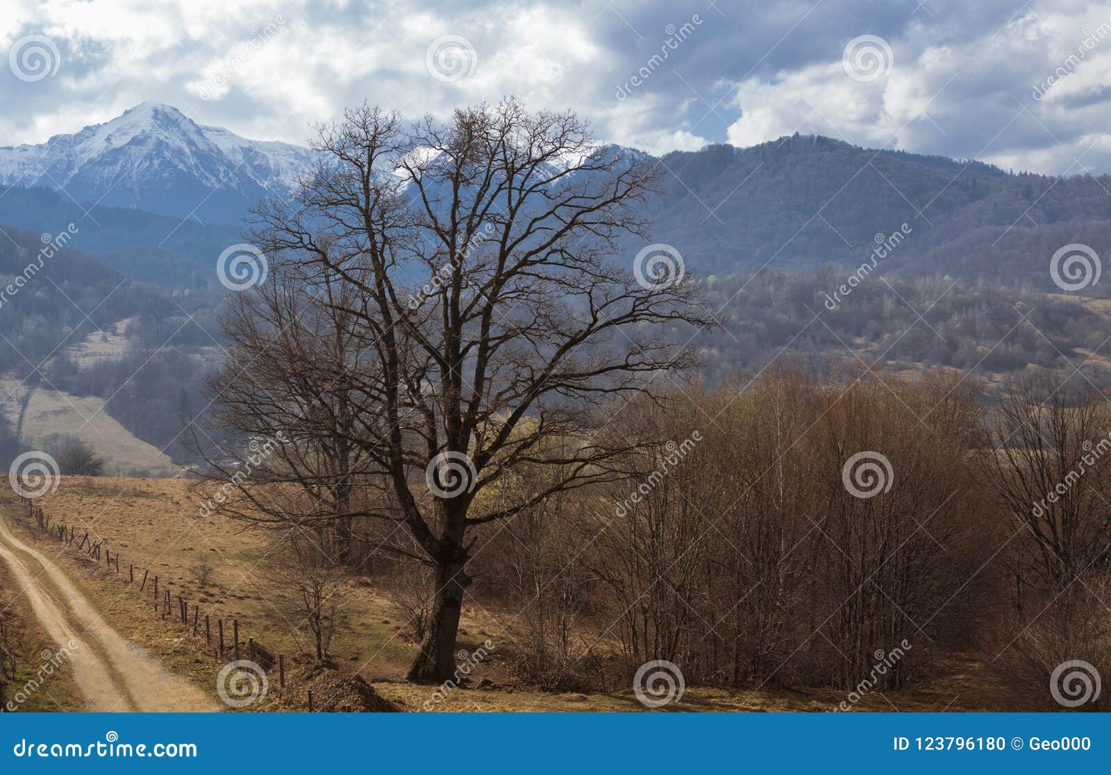 Paisaje Del Valle De Cheile Gradistei Foto de archivo - Imagen de ...