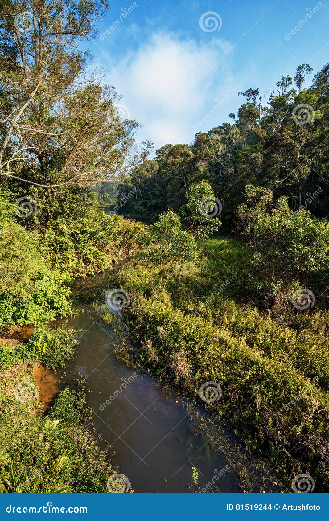 Paisaje Hermoso De Madagascar Foto de archivo - Imagen de hierba ...