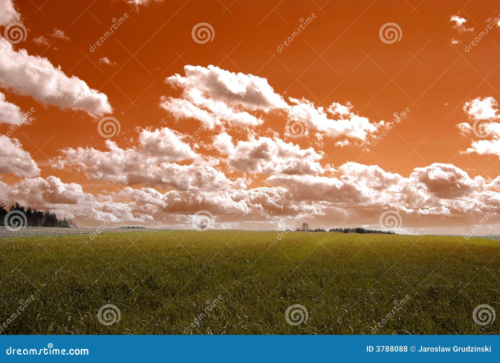 Paisaje Hermoso Del Resorte Foto de archivo - Imagen de colorido ...