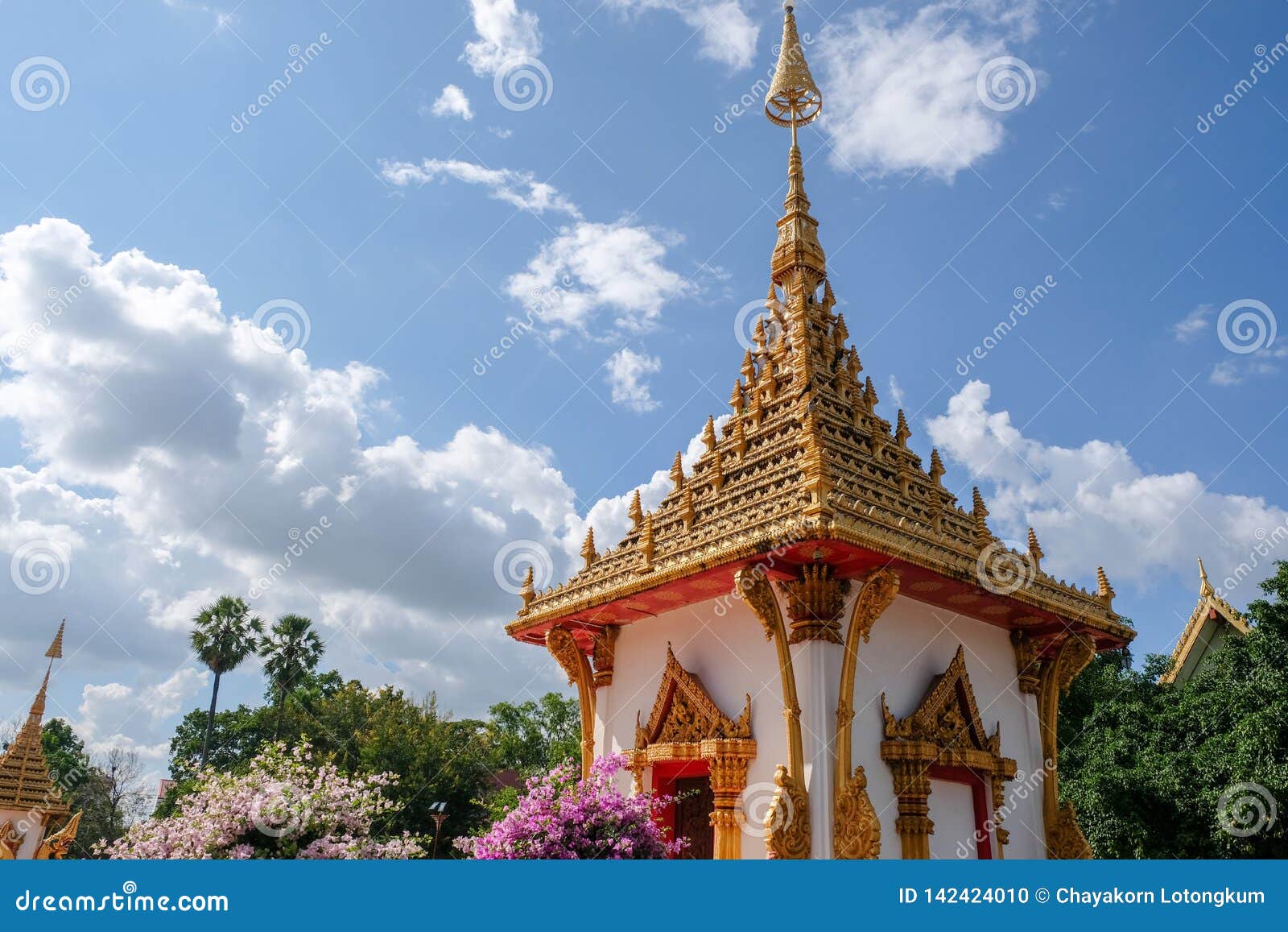 Paisaje Hermoso Del Templo De Wat Nong Wang En Khon Kaen Tailandia