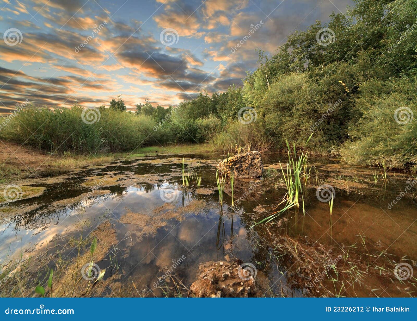Paisaje hermoso del verano foto de archivo. Imagen de lago - 23226212