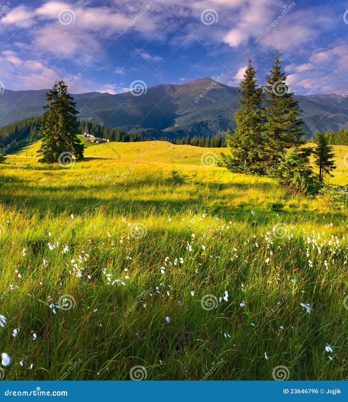 Paisaje hermoso del verano foto de archivo. Imagen de verde - 23646796