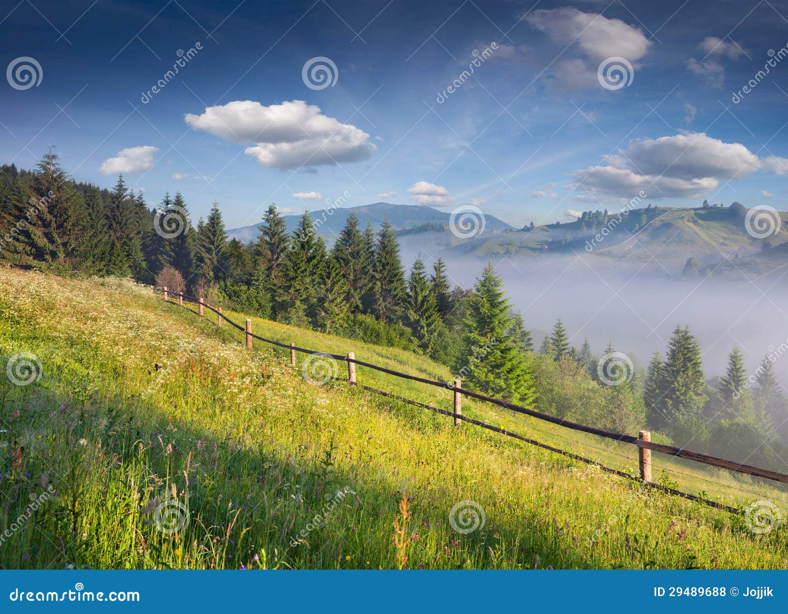 Paisaje hermoso del verano foto de archivo. Imagen de majestuoso - 29489688
