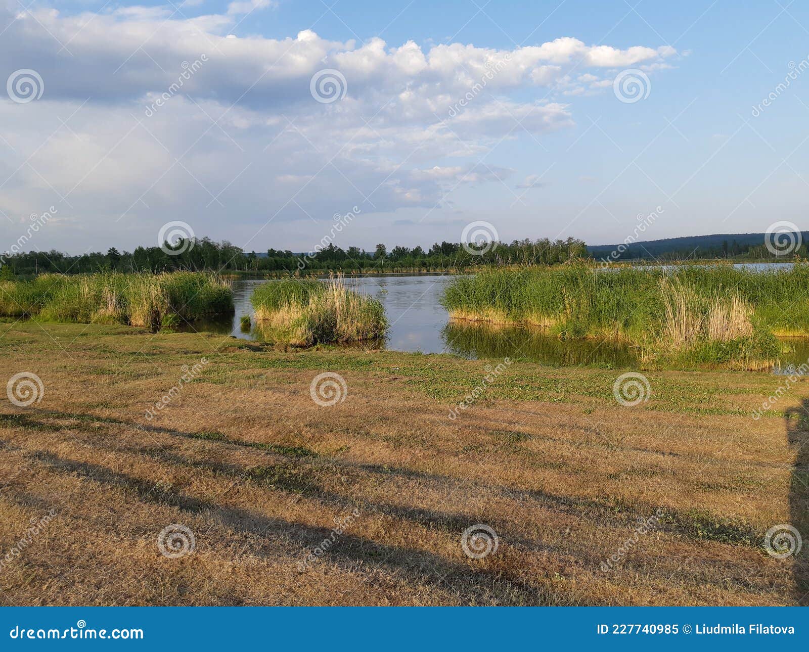 Paisaje lacustre imagen de archivo. Imagen de humedal - 227740985