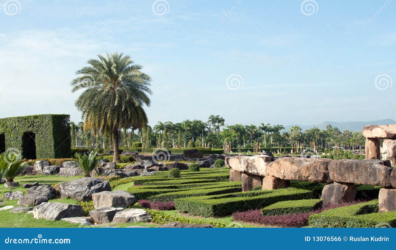 Paisaje, palma foto de archivo. Imagen de estilo, paisaje - 13076566