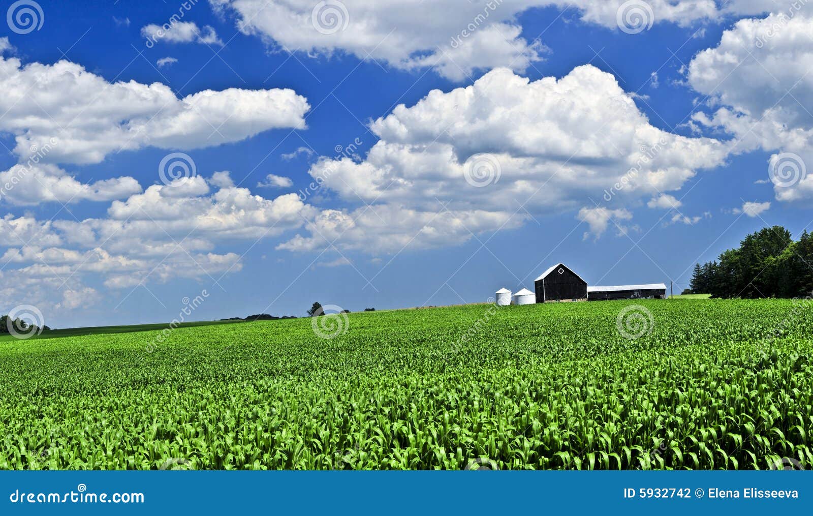 Paisaje rural foto de archivo. Imagen de campo, azul, cubo - 5932742