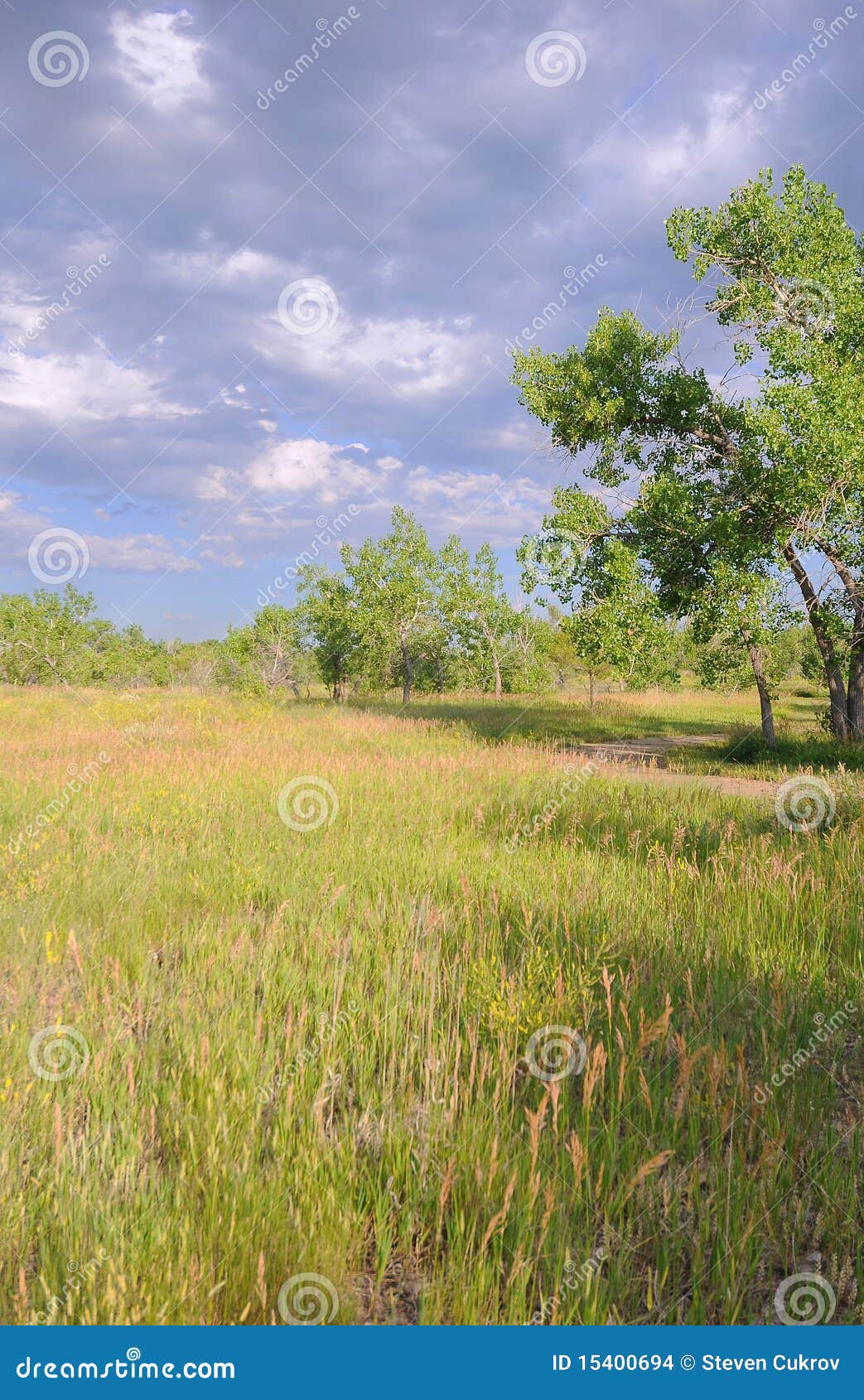 Paisaje vertical del yermo foto de archivo. Imagen de escénico - 15400694