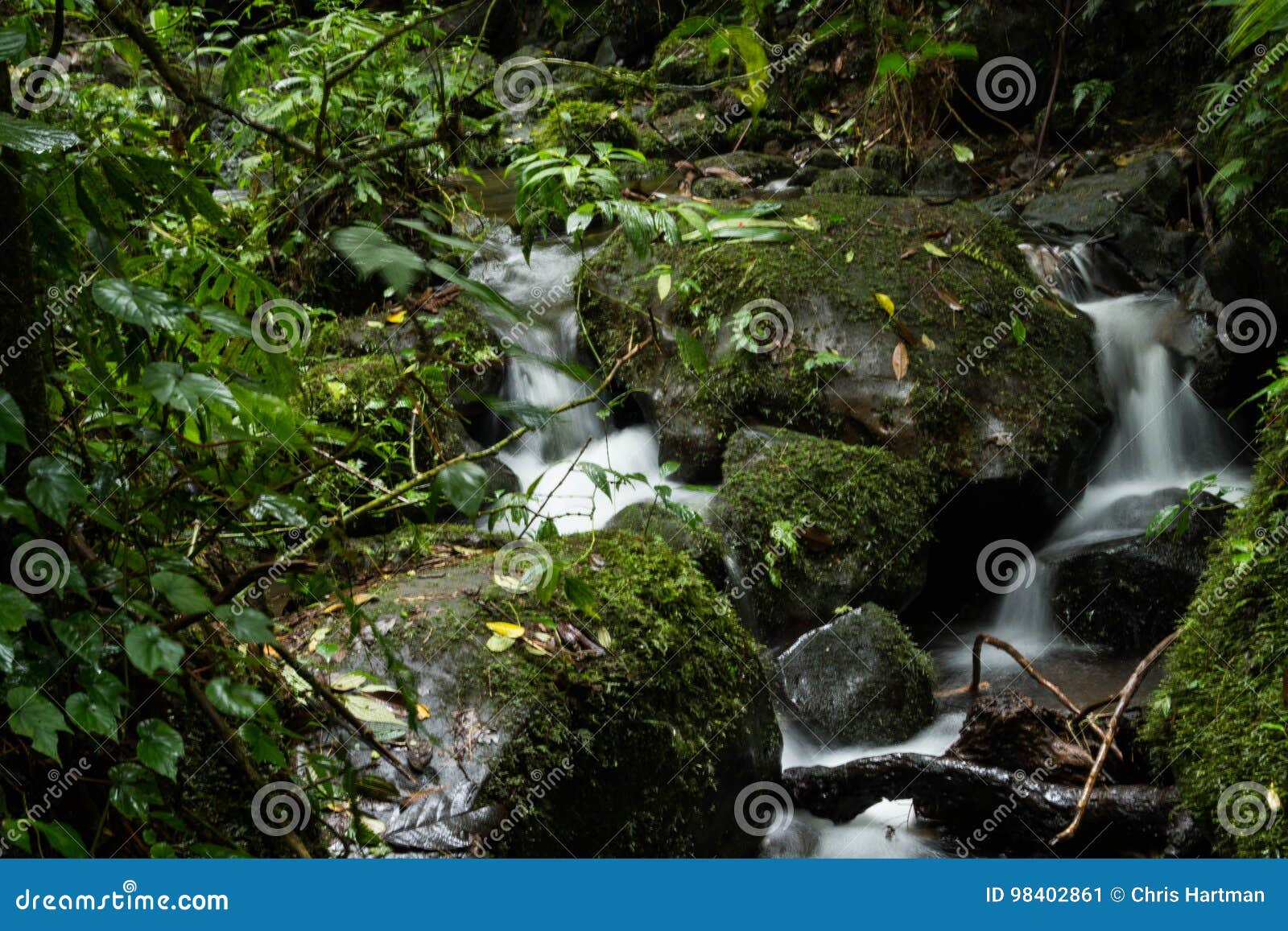 Paisajes de Costa Rica imagen de archivo. Imagen de lago - 98402861