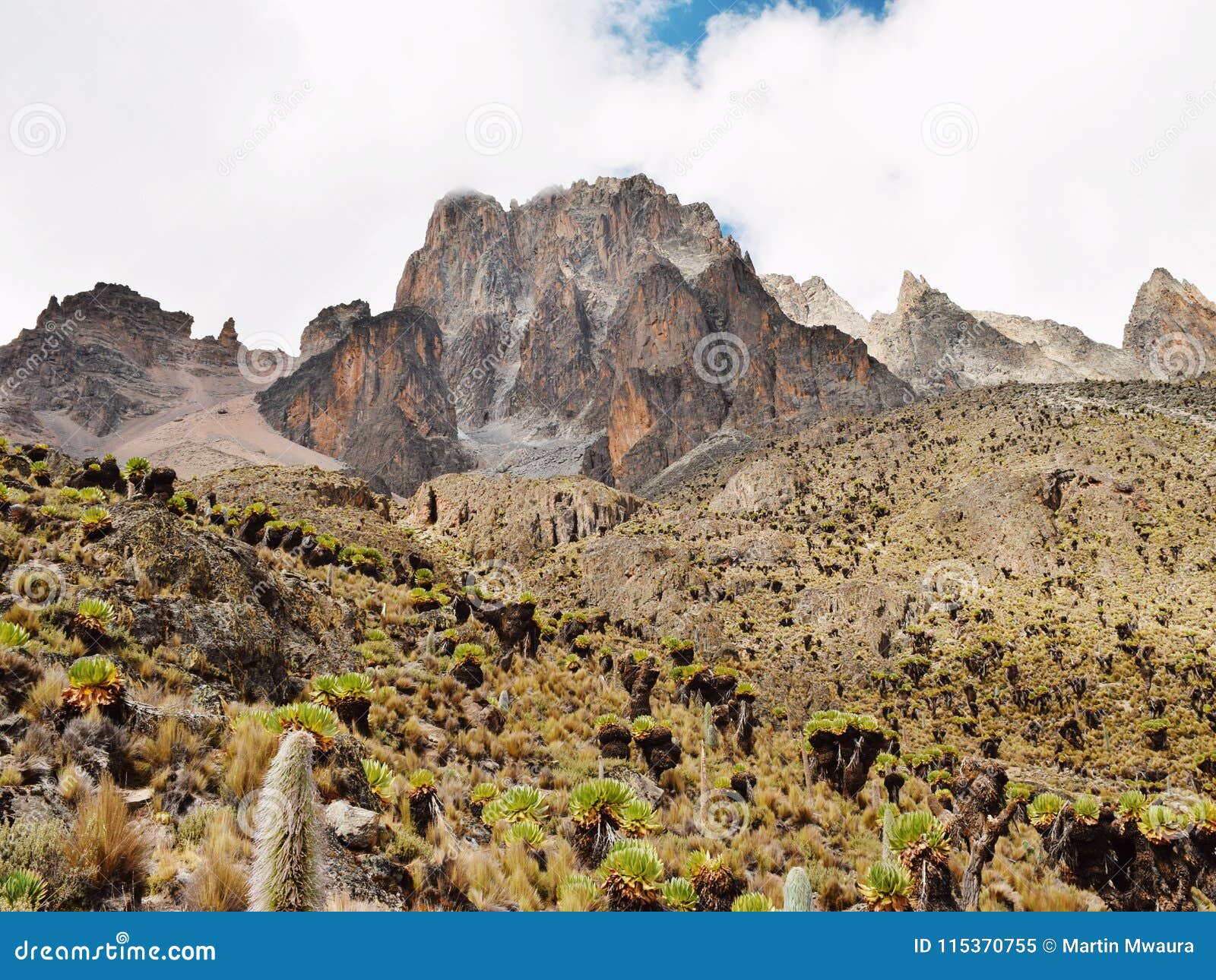 Paisajes del monte Kenia imagen de archivo. Imagen de parque - 115370755