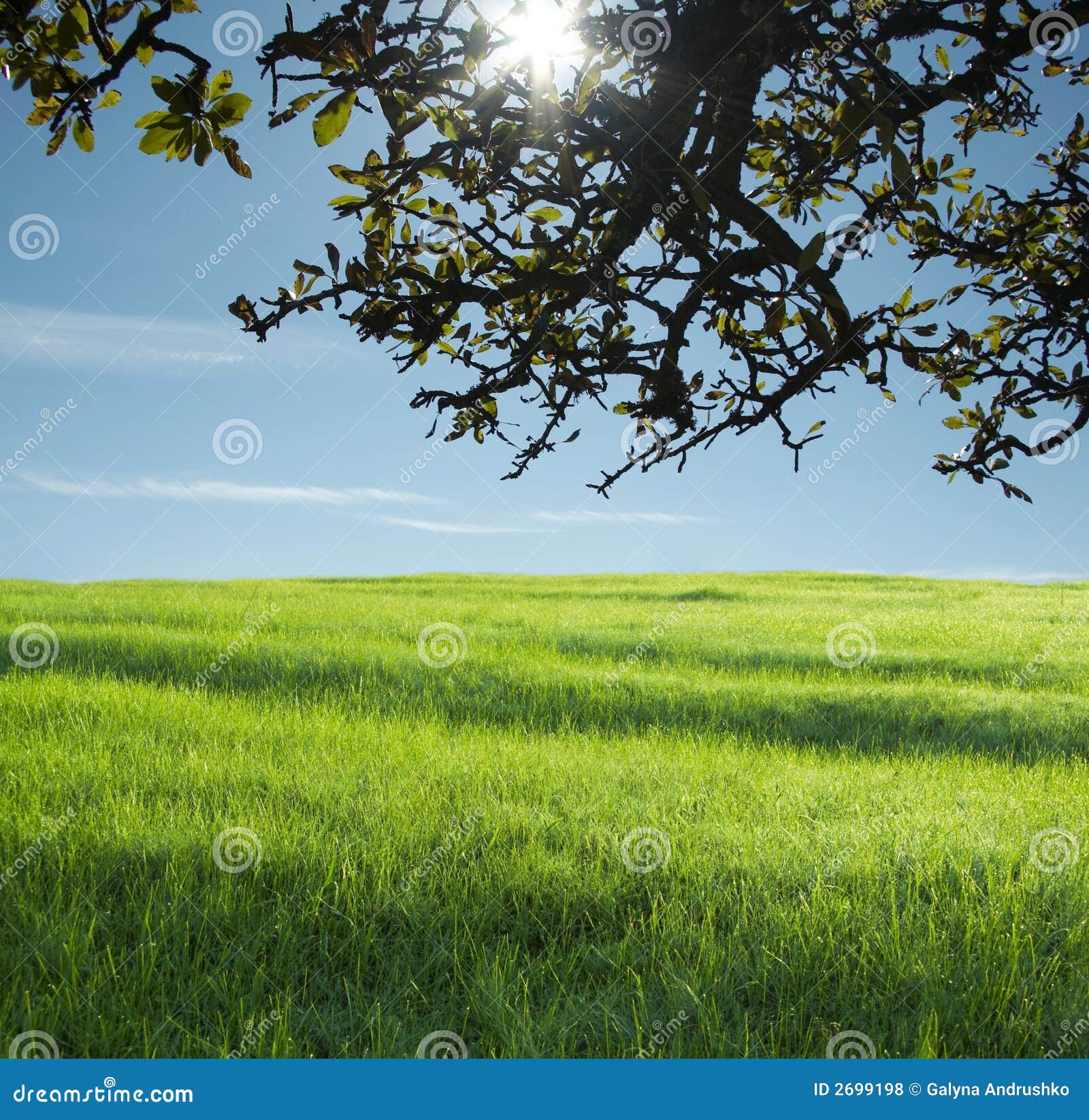 84,842 Paisajes Rurales Fotos - Libres de Derechos y Gratuitas de ...