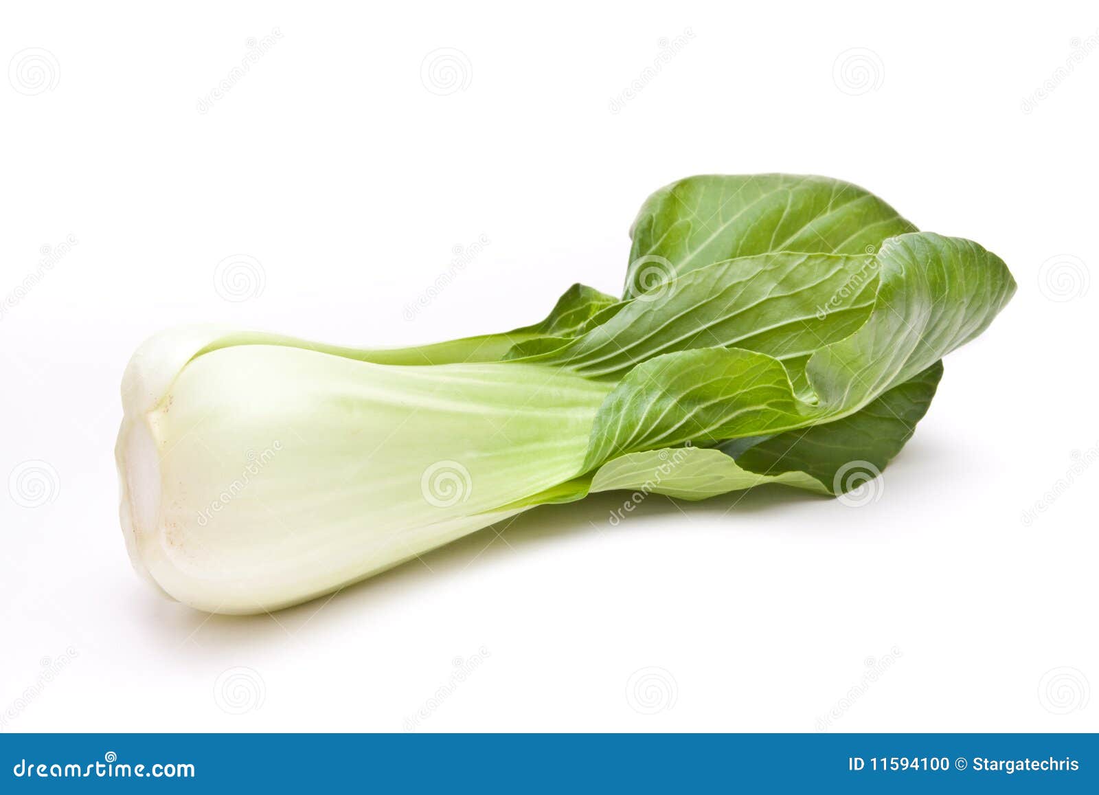 Pak Choi stock photo. Image of ingredient, green, background - 11594100