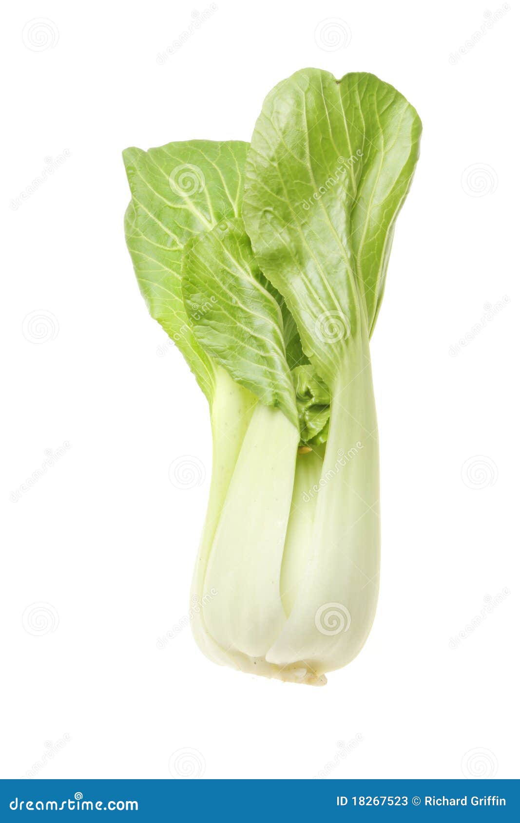 Pak Choi stock image. Image of chinese, food, cabbage - 18267523