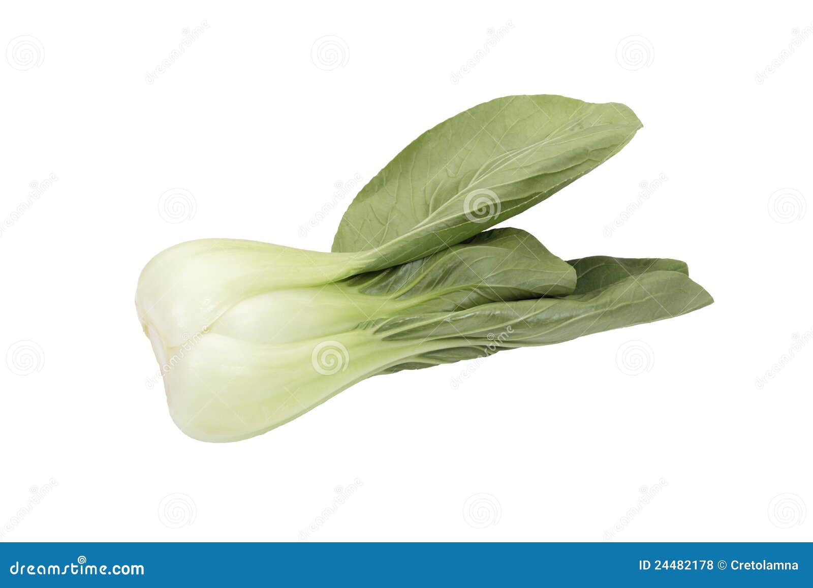 Pak-choi. stock photo. Image of chinese, choi, cabbage - 24482178