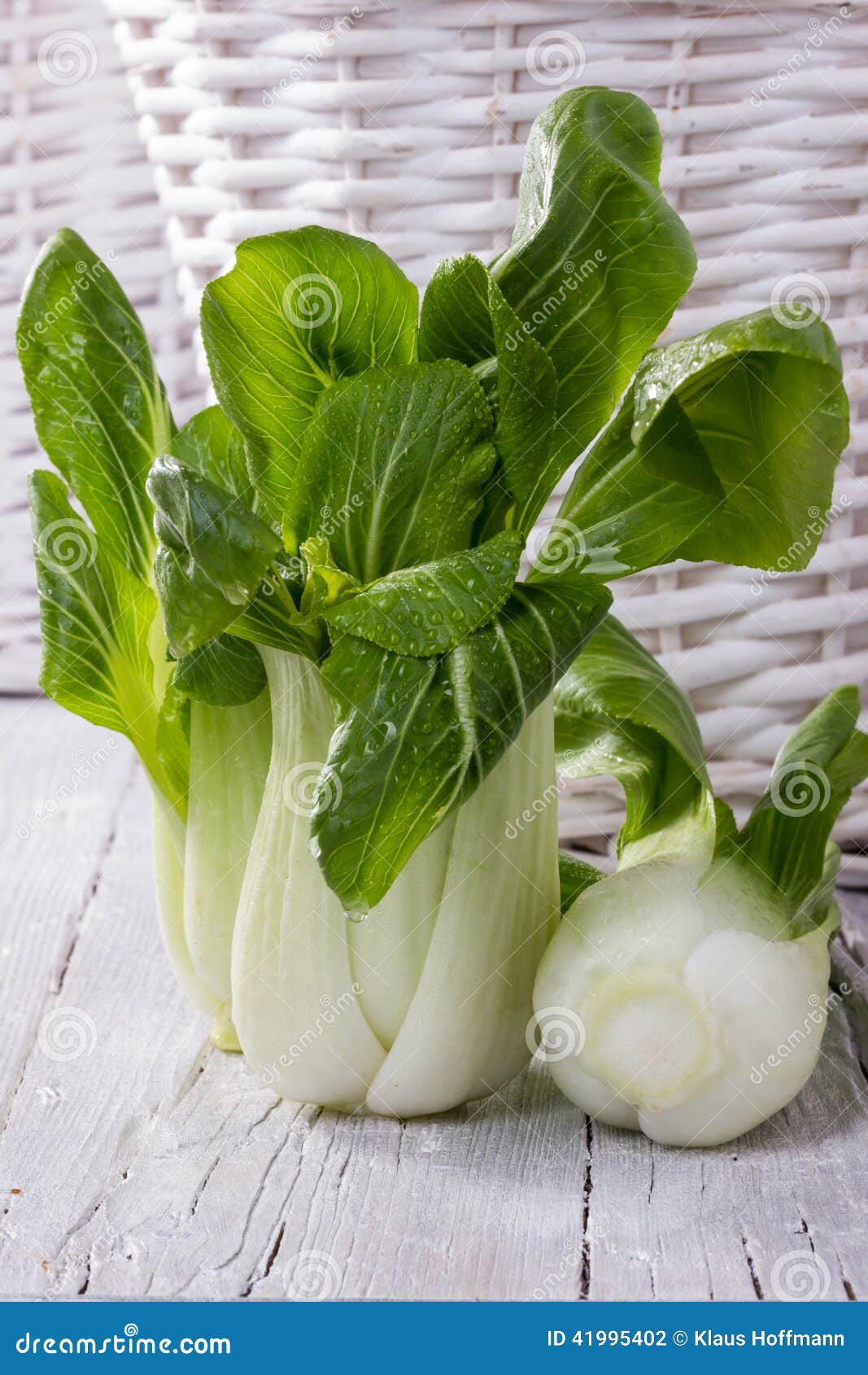 Pak Choi photo stock. Image du ingrédient, oriental, salade - 41995402