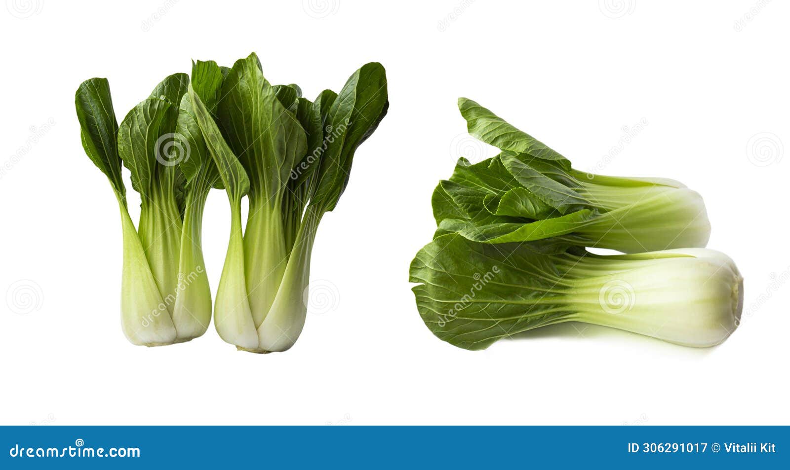 Pak Choi Cabbage Isolated on a White Background. Fresh Chinese Cabbage ...