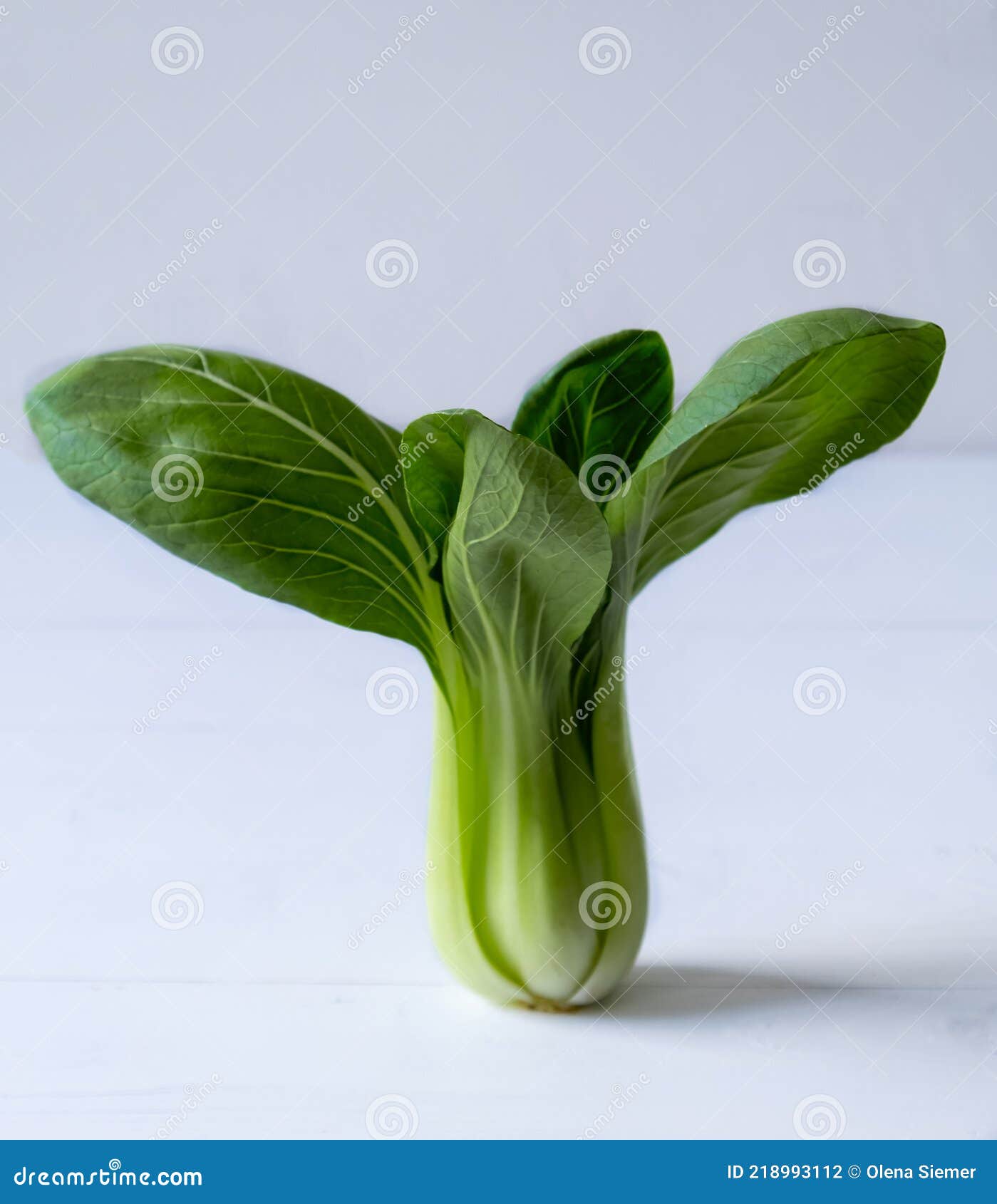 Pak Choi Chinese Cabbage Isolated on White Stock Photo - Image of ...